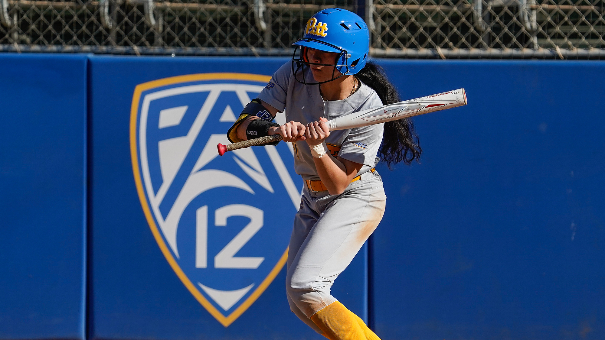 LoLo Sanchez - Softball - Pitt Panthers #H2P
