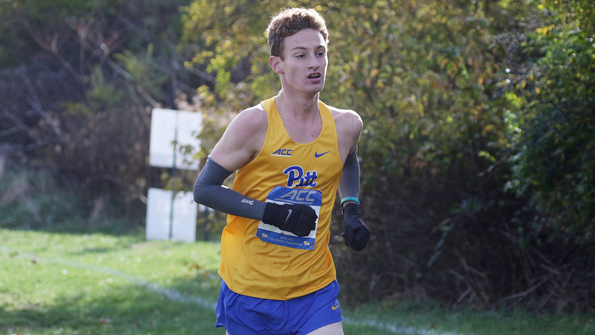Jack Miller - Cross Country - Pitt Panthers #H2P