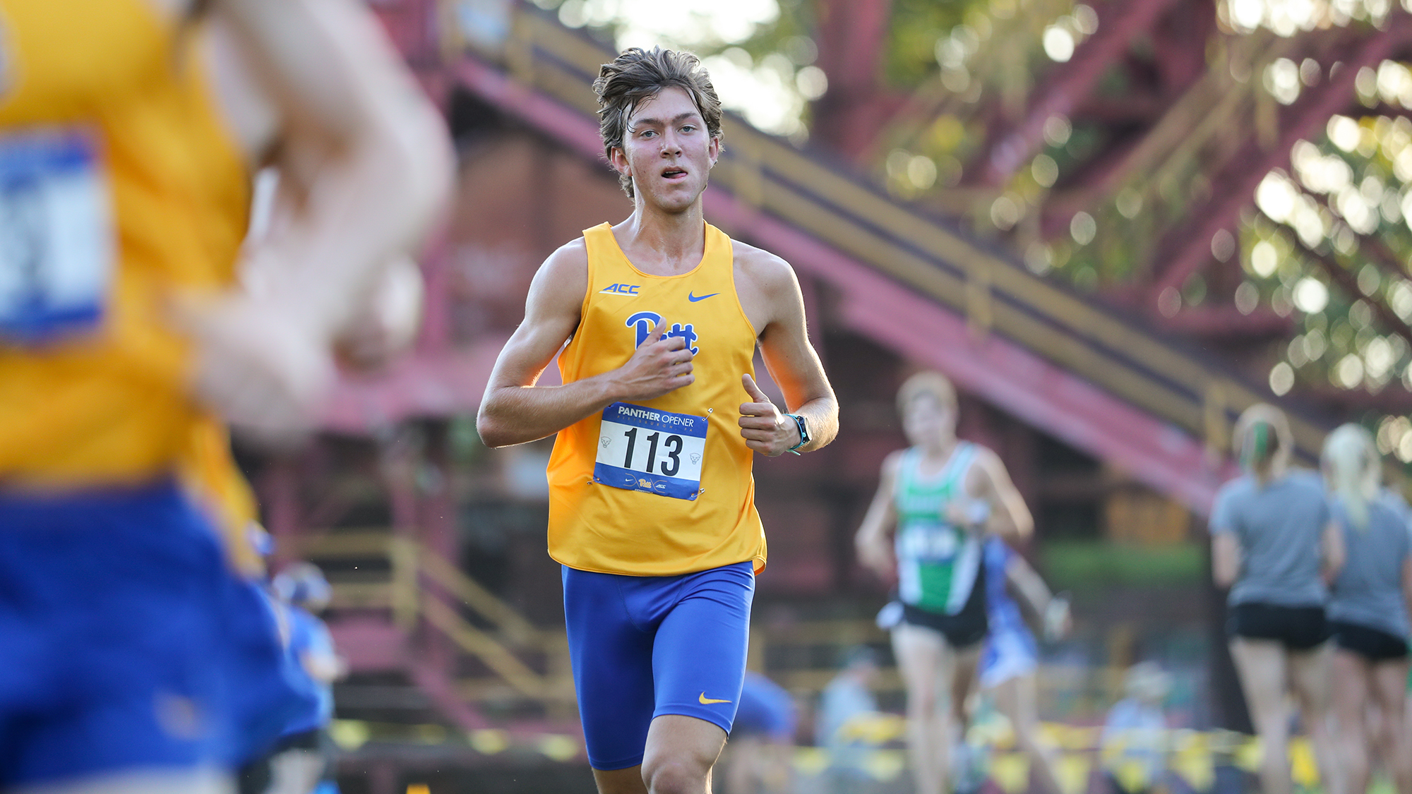 Josh Higgins - Cross Country - Pitt Panthers #H2P
