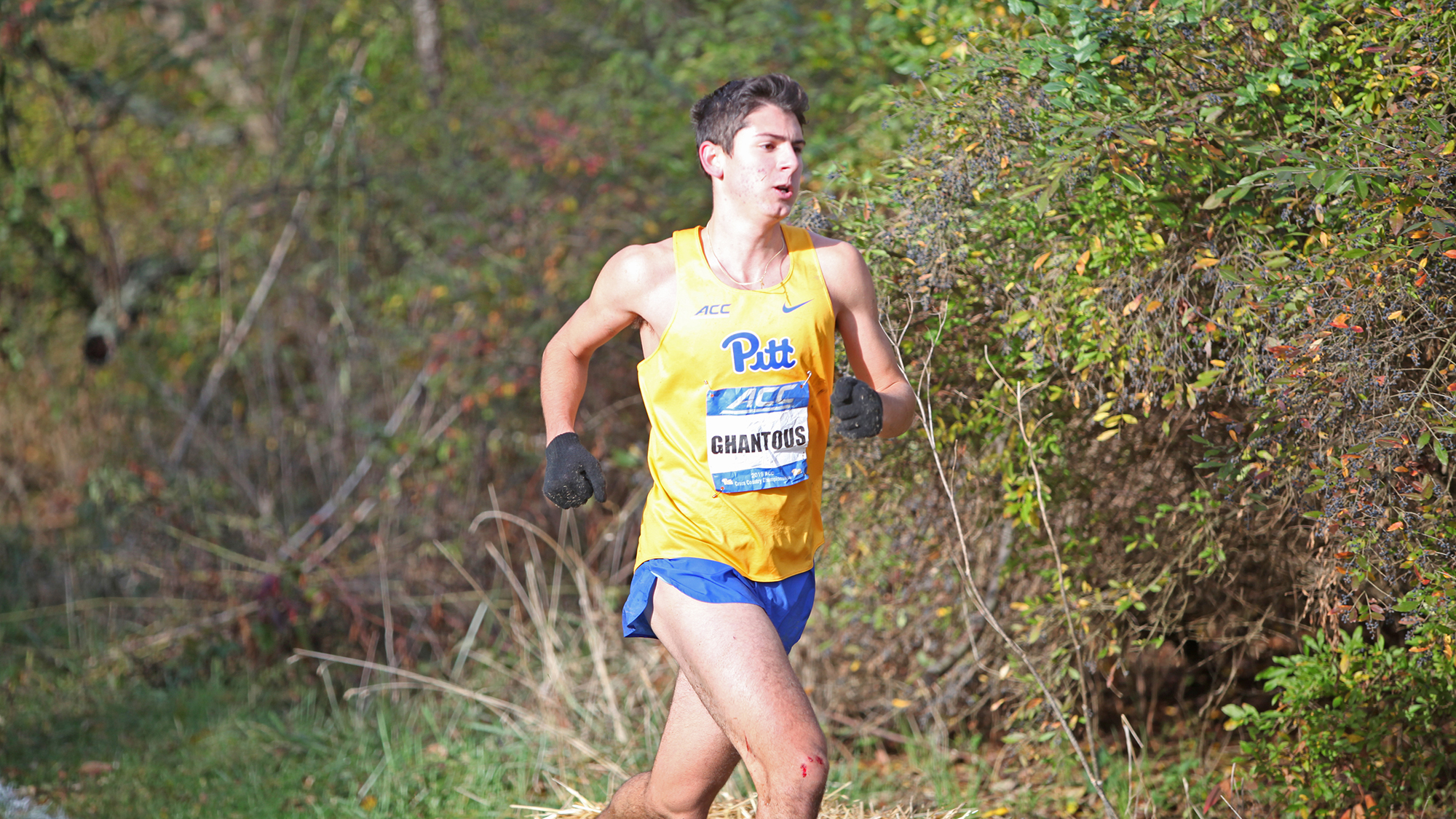 Paul Ghantous - Cross Country - Pitt Panthers #H2P