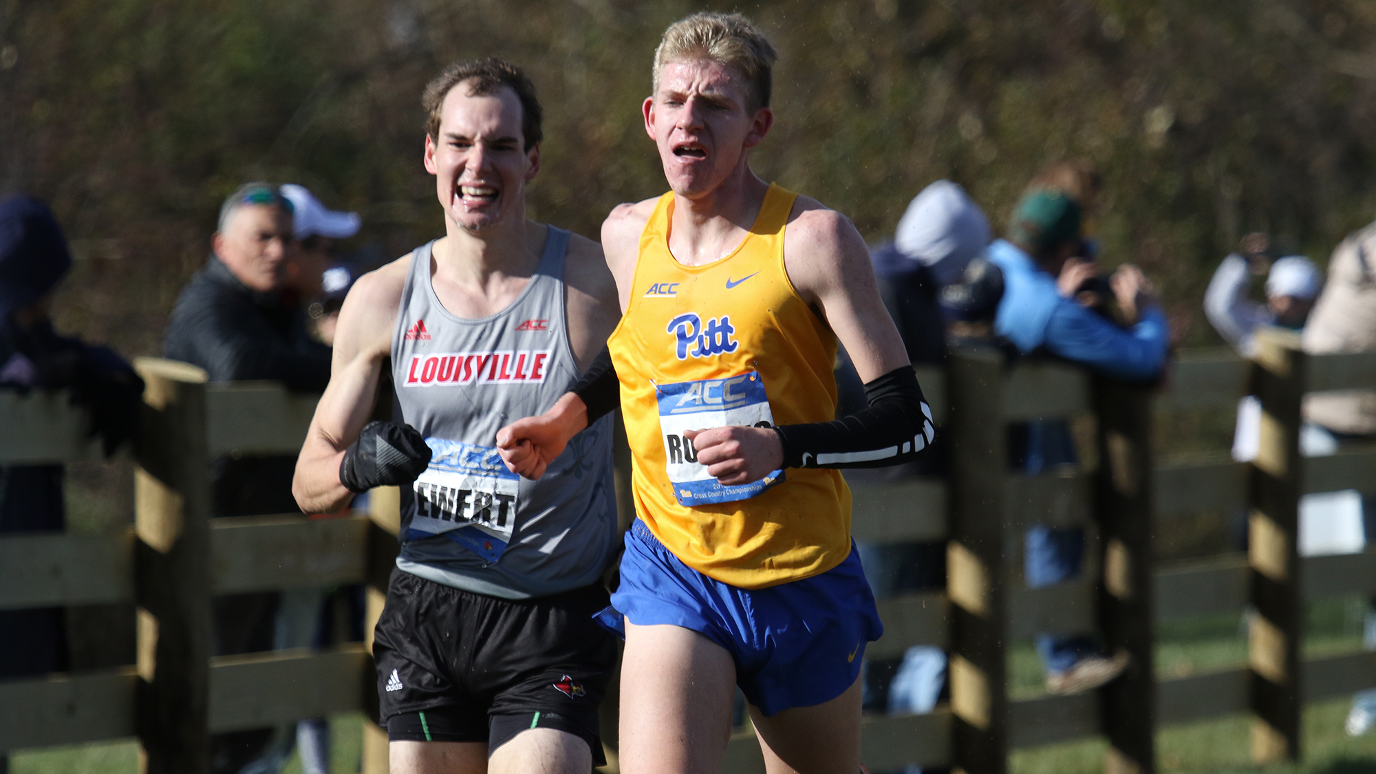 Tyler Rollins - Cross Country - Pitt Panthers #H2P