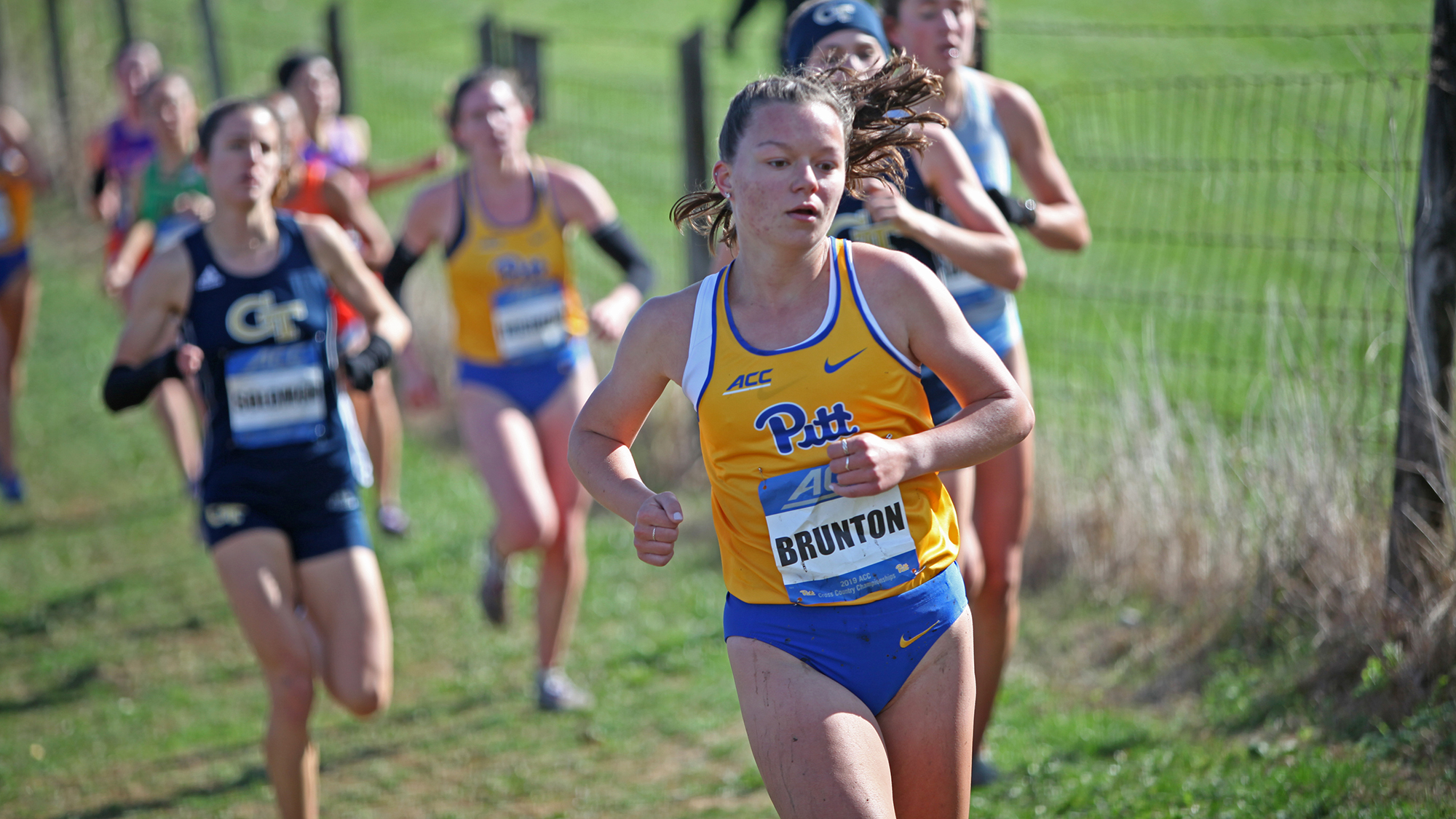 Ally Brunton - Cross Country - Pitt Panthers #H2P