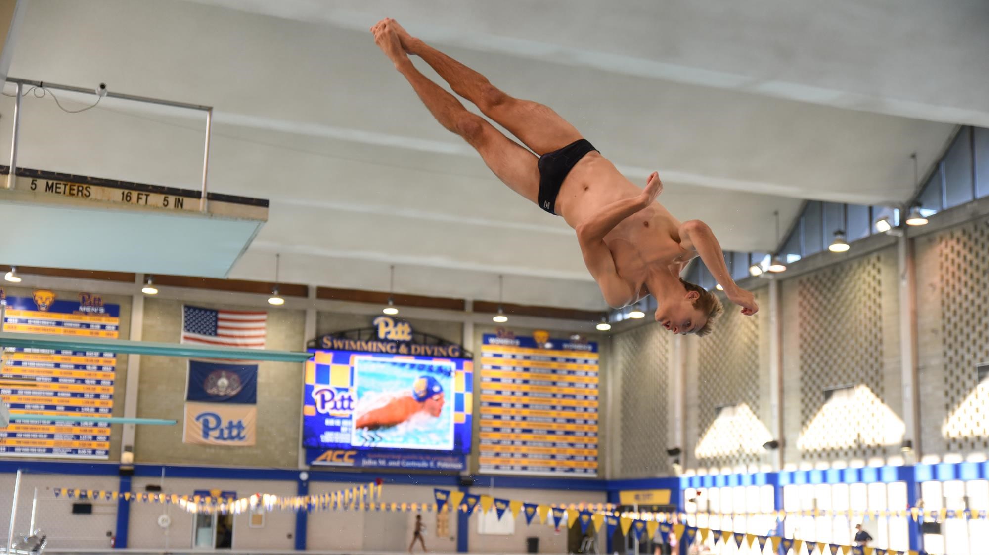 Cameron Cash - Swimming & Diving - Pitt Panthers #H2P