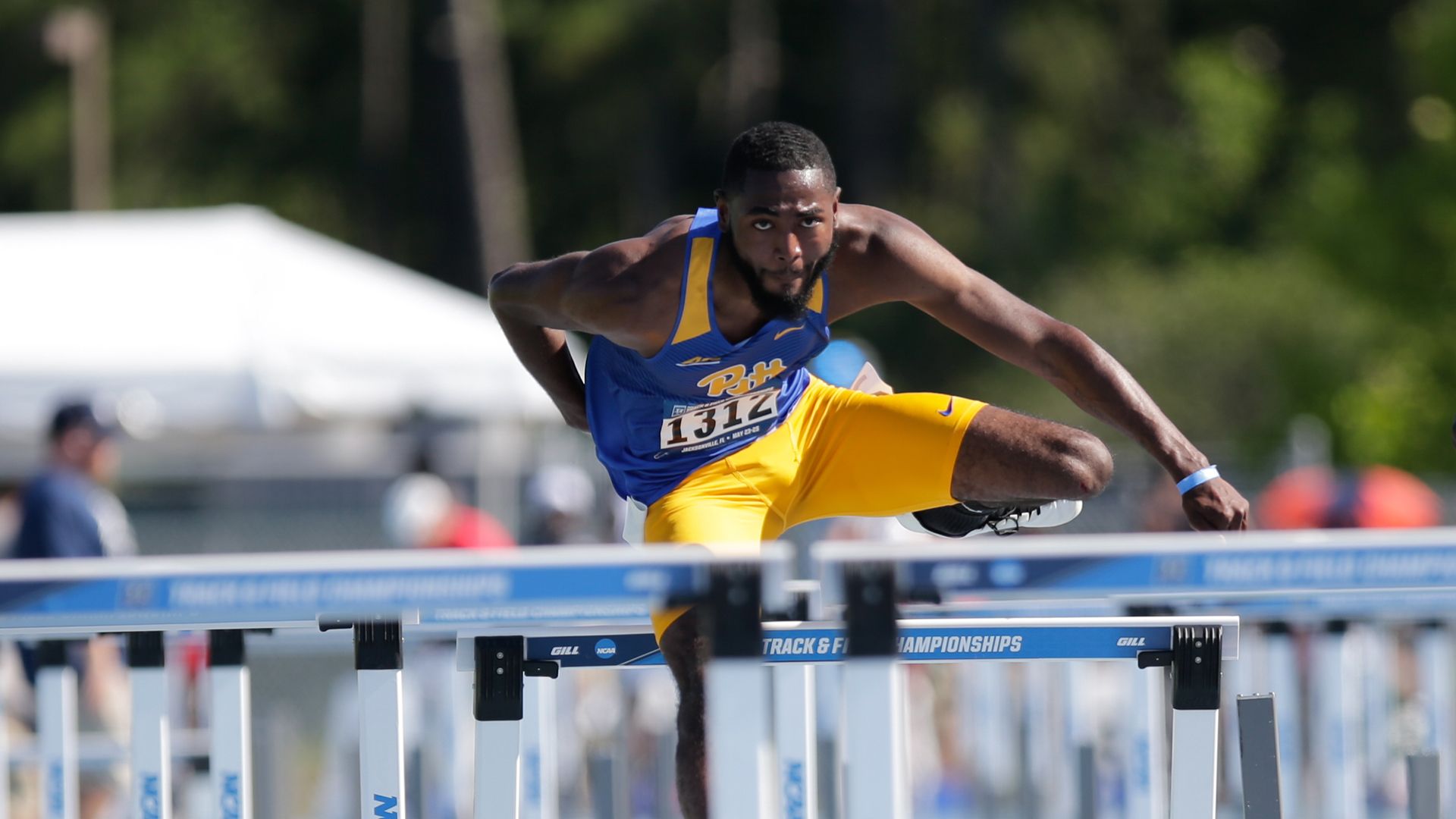 Daveon Finley - Track & Field - Pitt Panthers #H2P