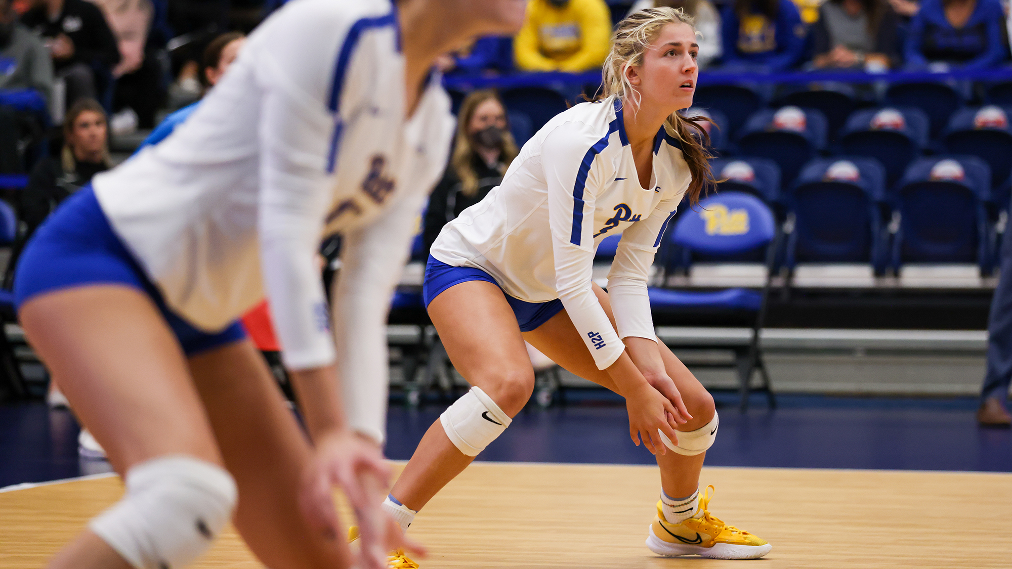 Cat Flood - Women's Volleyball - Pitt Panthers #H2P