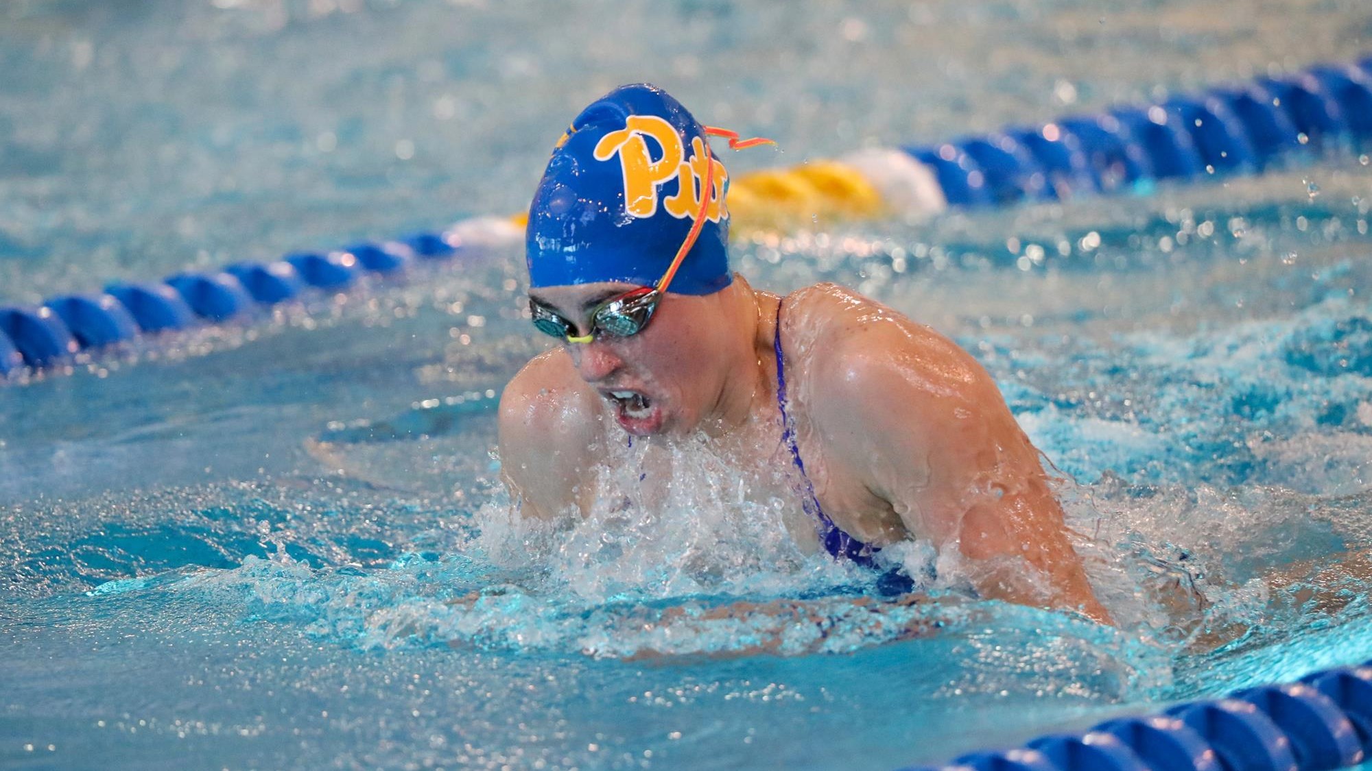 Maddie London - Swimming & Diving - Pitt Panthers #H2P