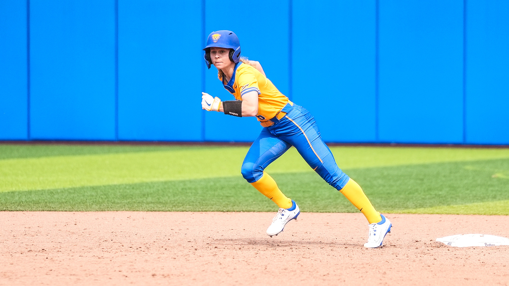 EC Taylor - Softball - Pitt Panthers #H2P