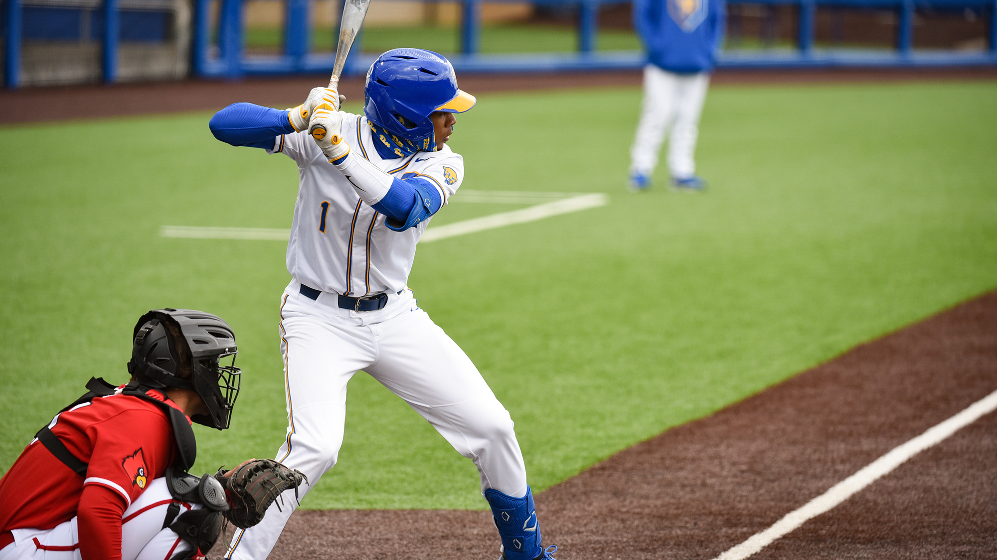 Tommy Tavarez - Baseball - Pitt Panthers #H2P