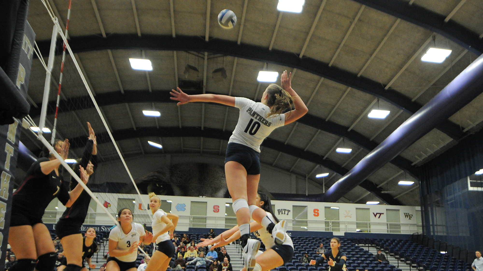 Mariah Bell - Women's Volleyball - Pitt Panthers #H2P