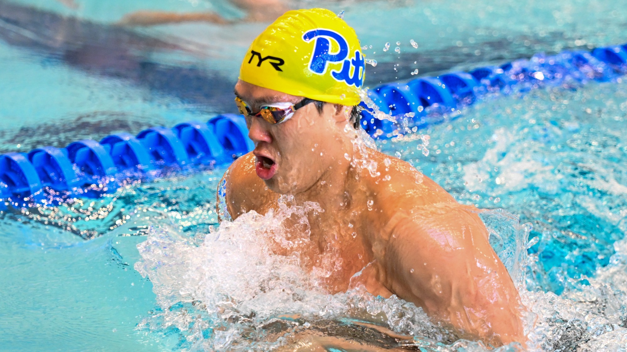 Jerry Chen - Swimming & Diving - Pitt Panthers #H2P