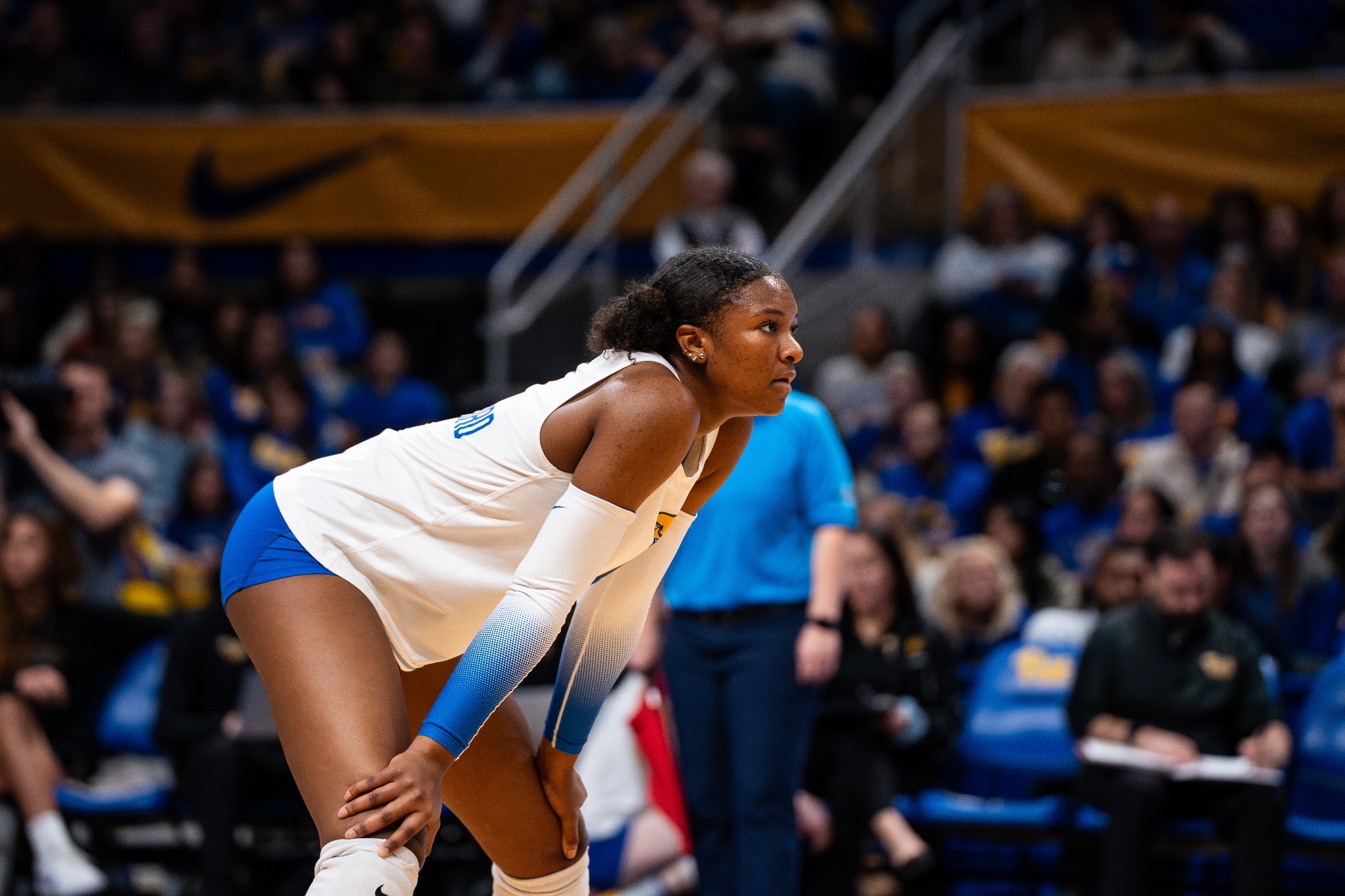 Torrey Stafford - Women's Volleyball - Pitt Panthers #H2P