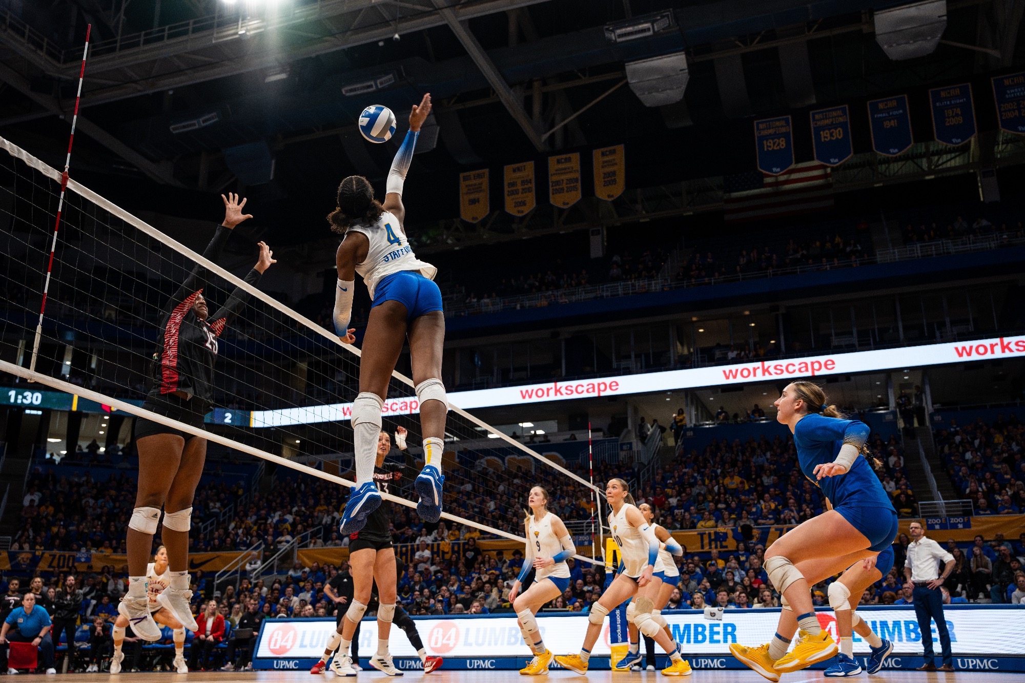 Torrey Stafford - Women's Volleyball - Pitt Panthers #H2P
