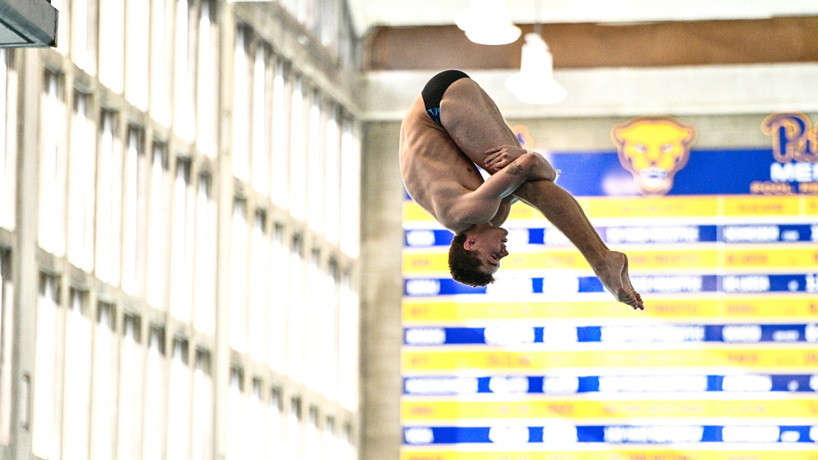 Dylan Reed - Swimming & Diving - Pitt Panthers #H2P
