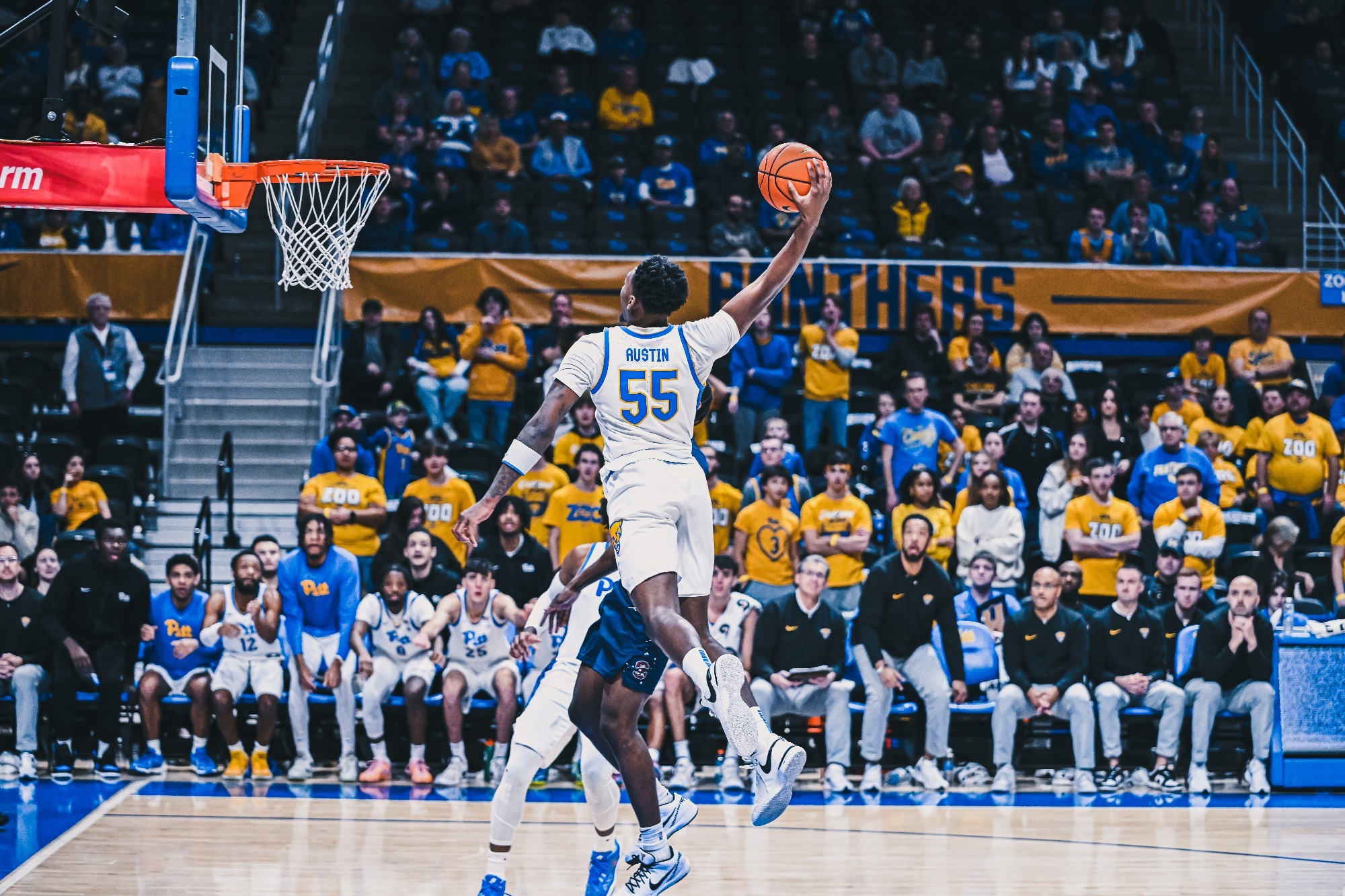 Zack Austin - Men's Basketball - Pitt Panthers #H2P