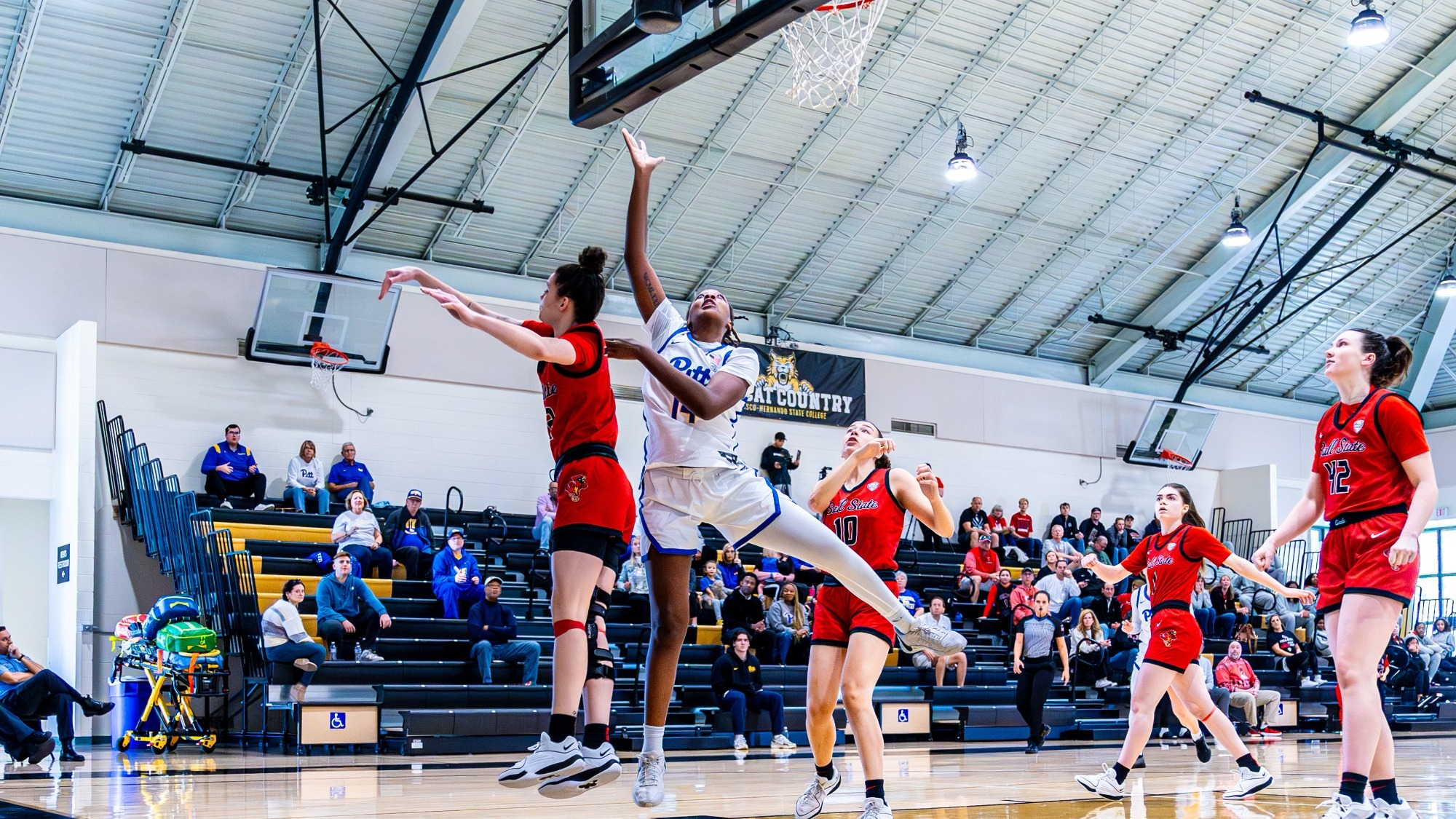 Jala Jordan - Women's Basketball - Pitt Panthers #H2P