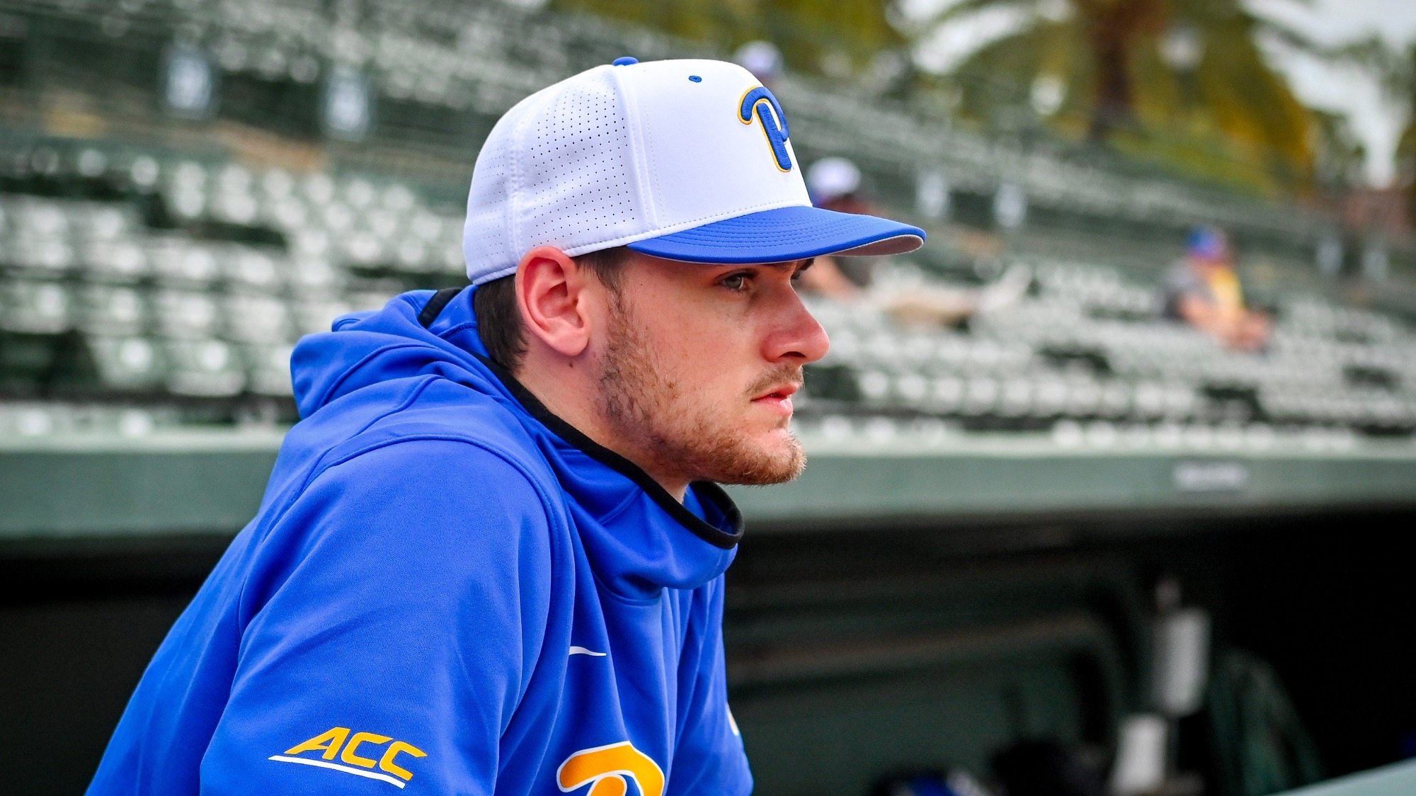 Holden Phelps - Baseball - Pitt Panthers #H2P