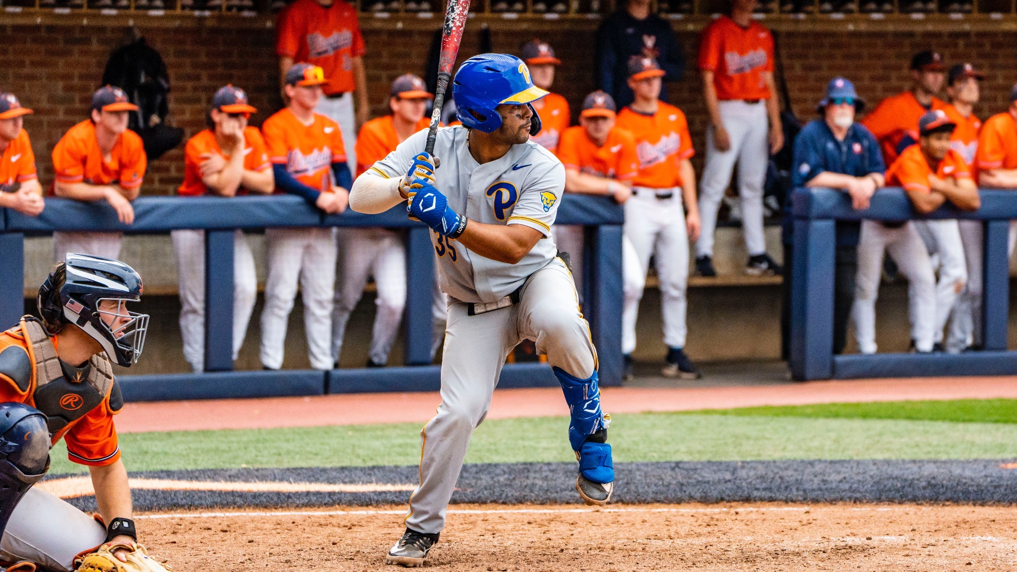 Jayden Melendez - Baseball - Pitt Panthers #H2P