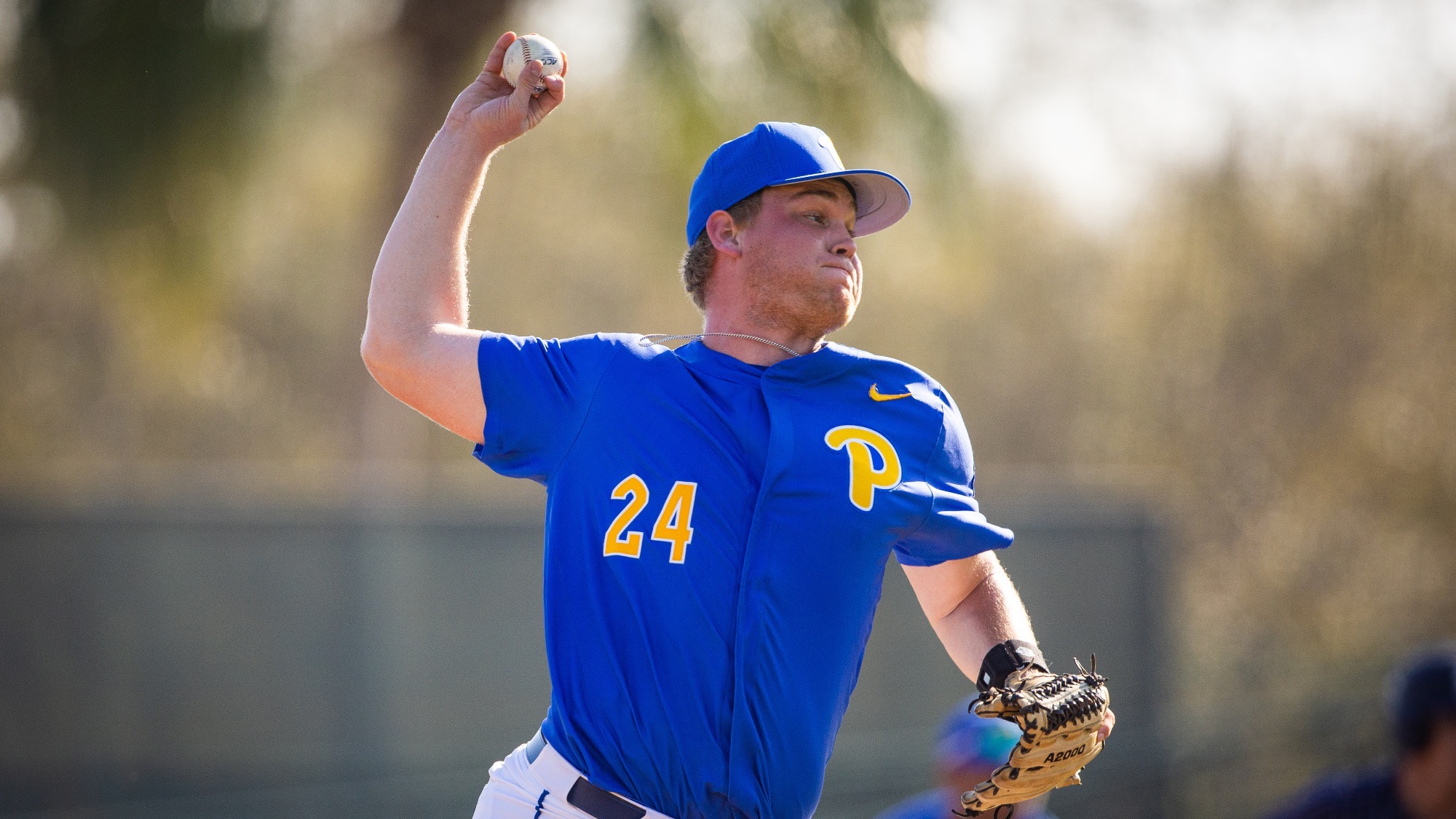 Dylan Simmons - Baseball - Pitt Panthers #H2P