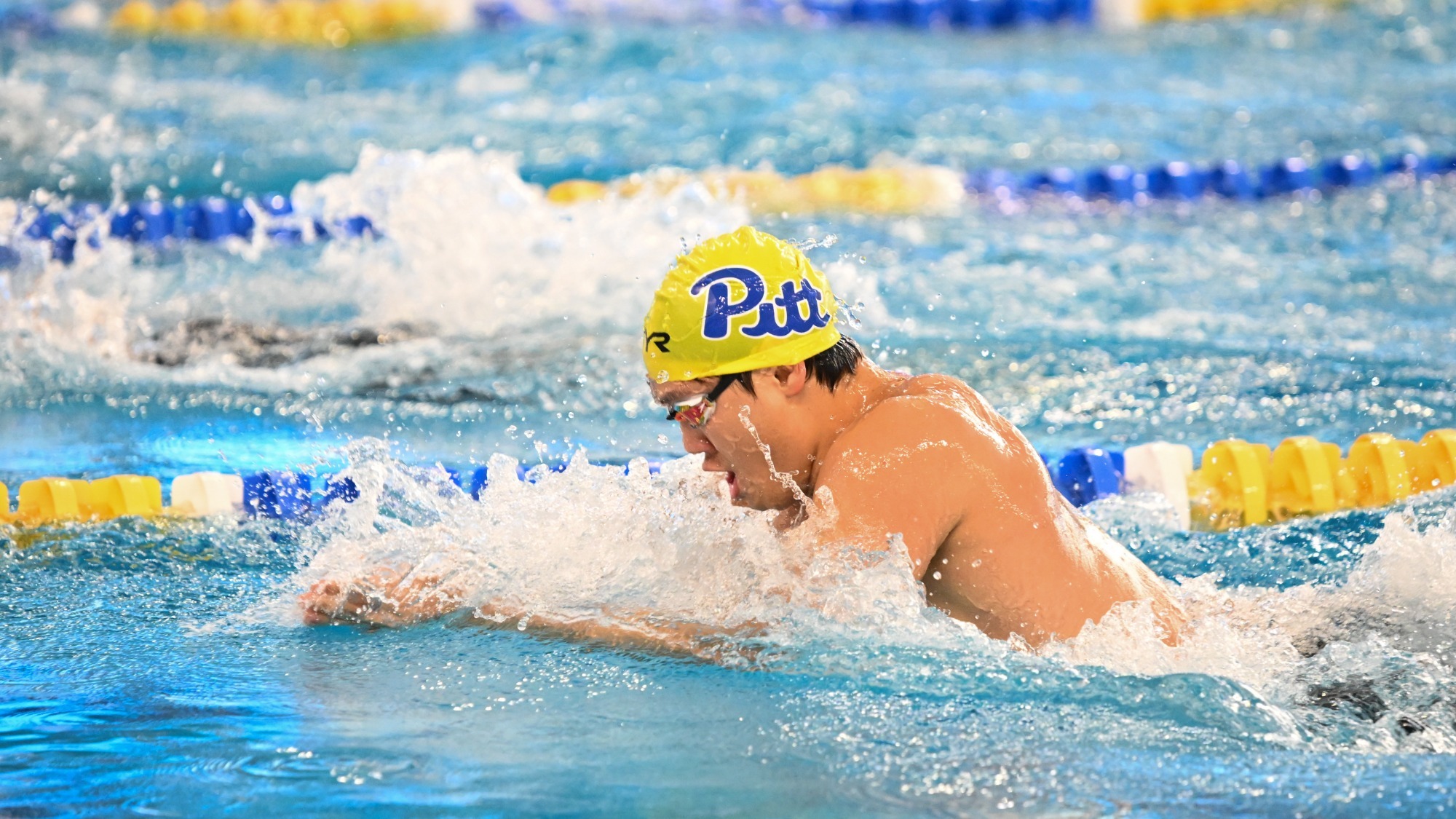 Jerry Chen - Swimming & Diving - Pitt Panthers #H2P