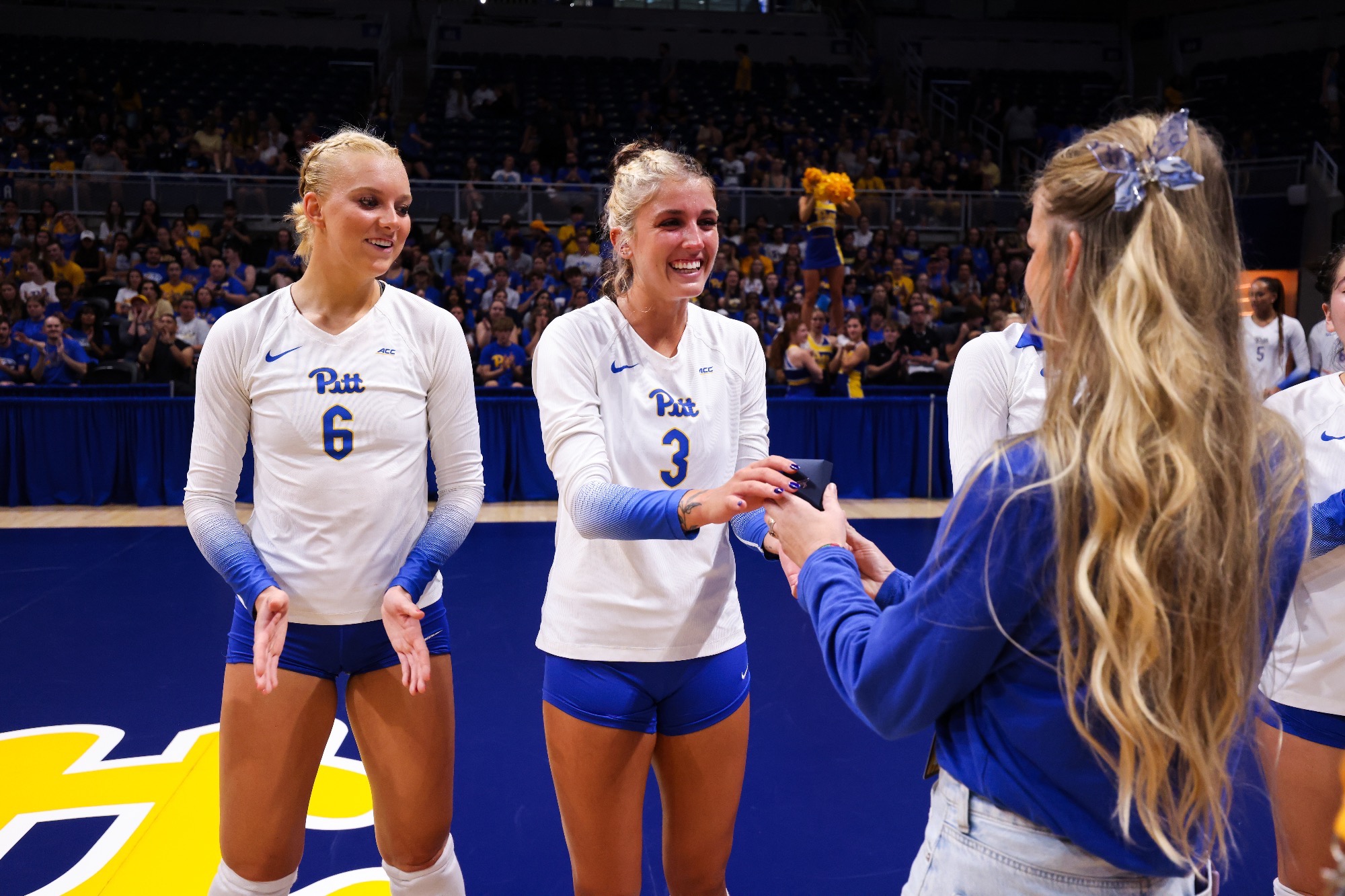 Cat Flood - Women's Volleyball - Pitt Panthers #H2P