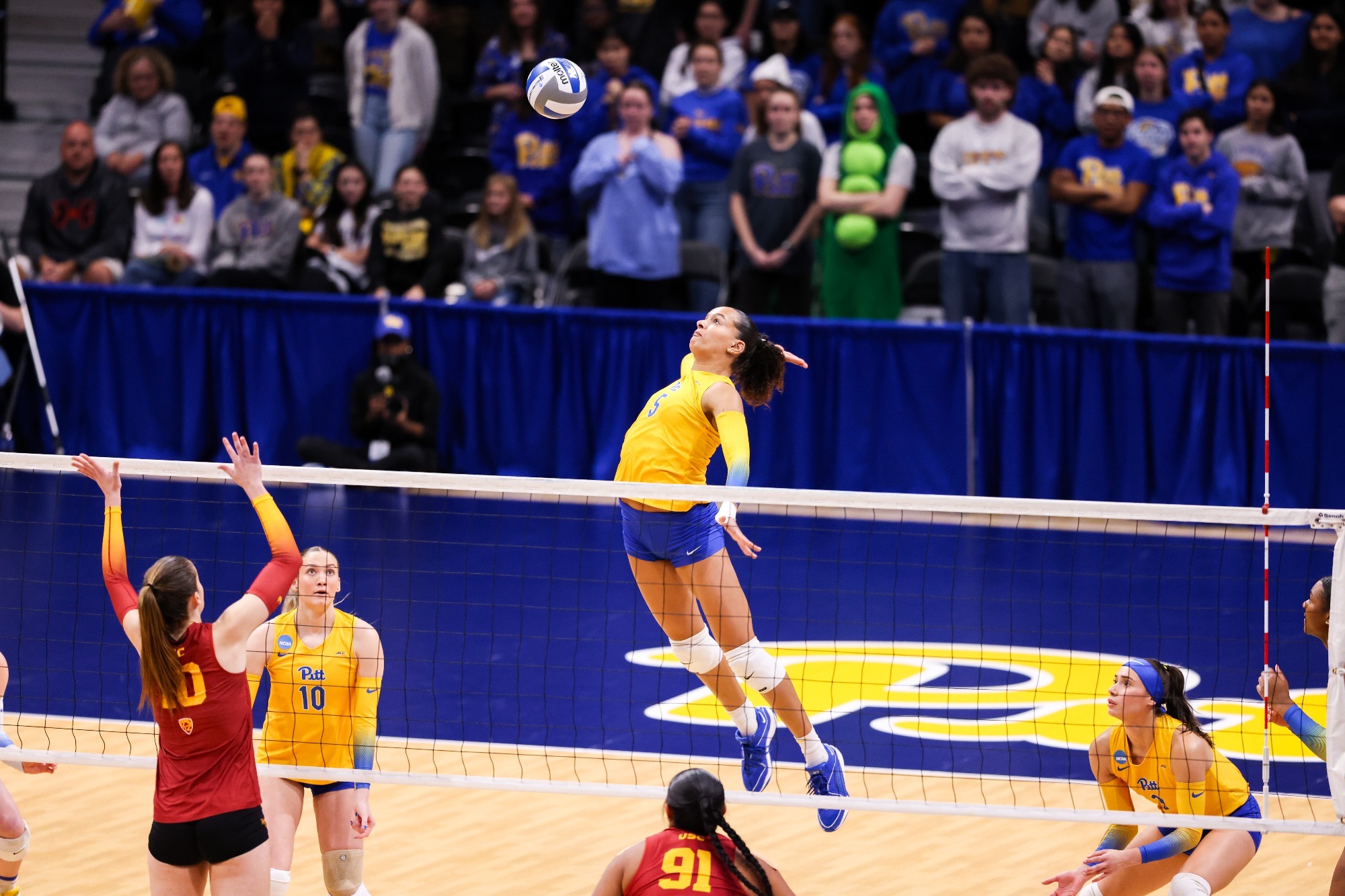 Olivia Babcock - Women's Volleyball - Pitt Panthers #H2P