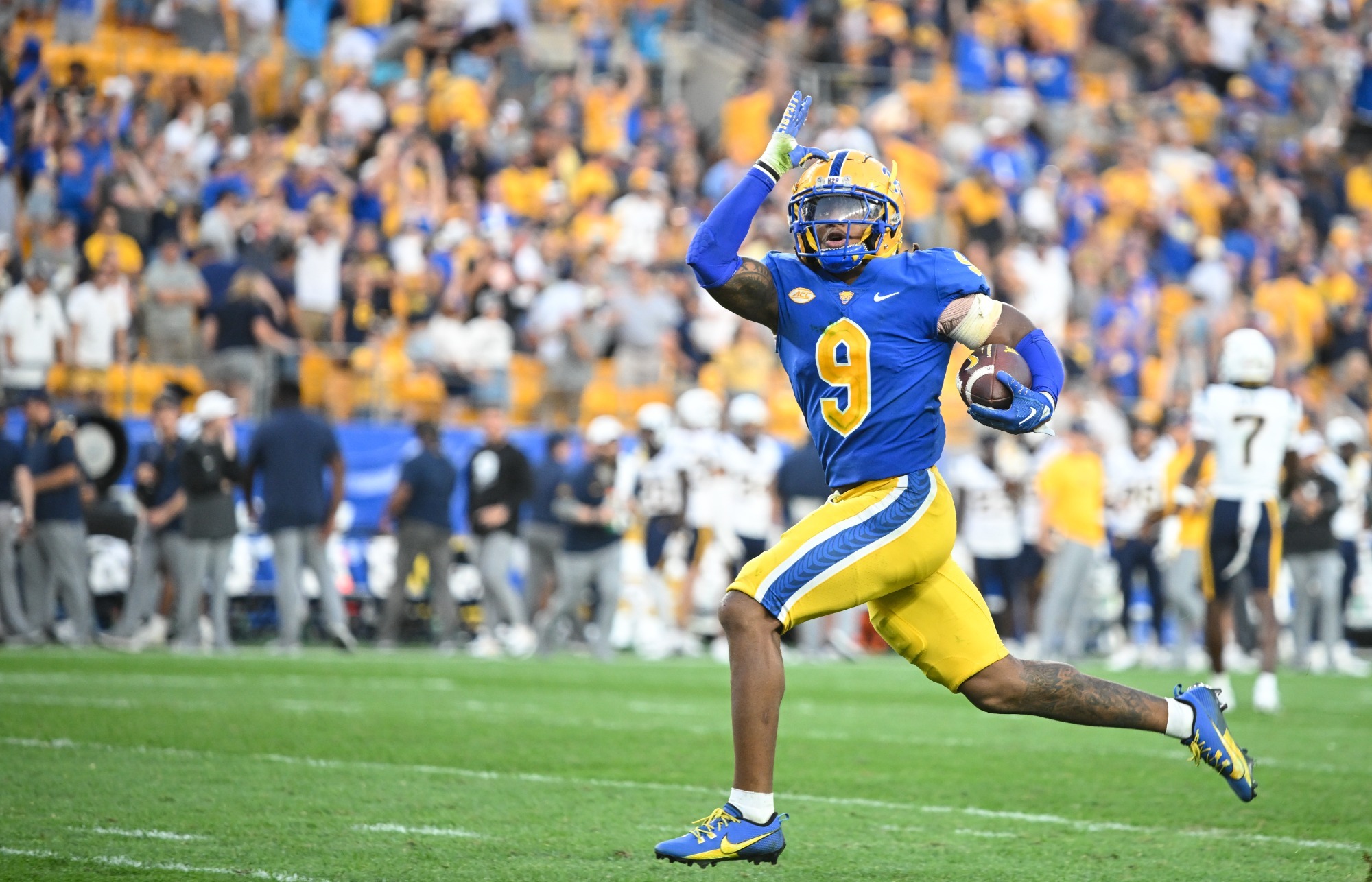 Legendary Pitt Wide Receiver Larry Fitzgerald Inducted into College ...