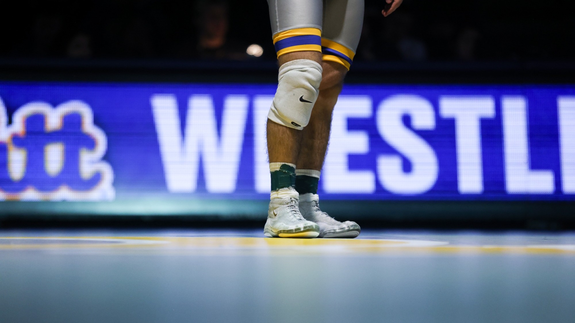 No. 21 Pitt Hosts No. 18 Lehigh Sunday - Pitt Panthers #H2P