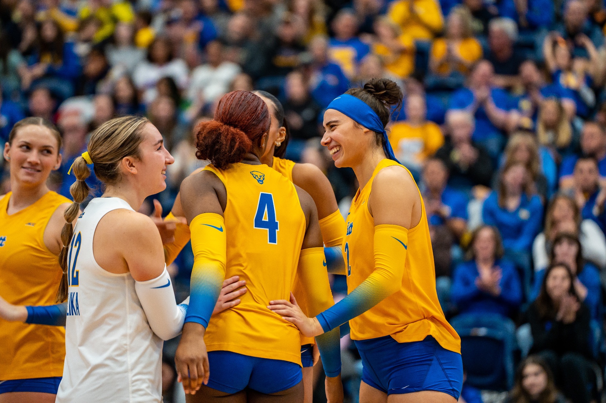 No. 1 Pitt Sweeps Wake Forest for 16th ACC Win - Pitt Panthers #H2P