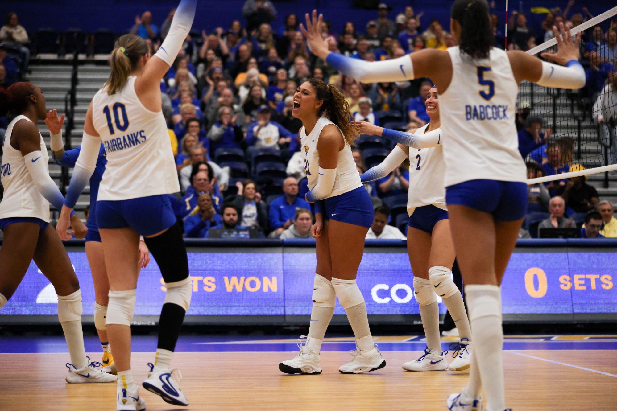 Rachel Fairbanks Named ACC Co-Setter of the Week - Pitt Panthers #H2P