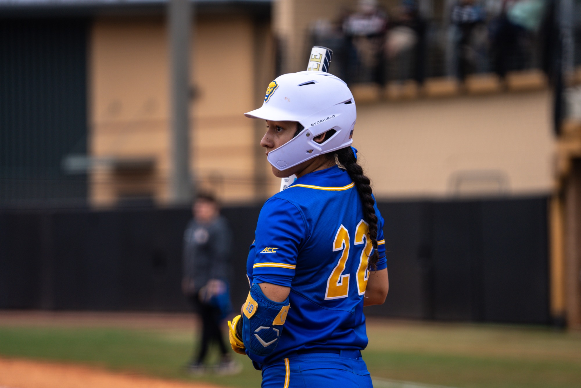 Ana Hernandez - Softball - Pitt Panthers #H2P