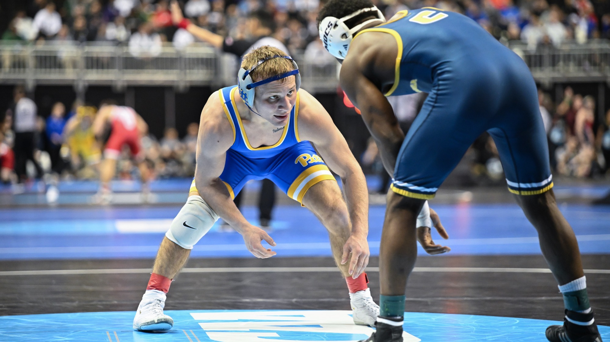 Pitt’s Cole Matthews Named ACC Wrestler of the Week - Pitt Panthers #H2P