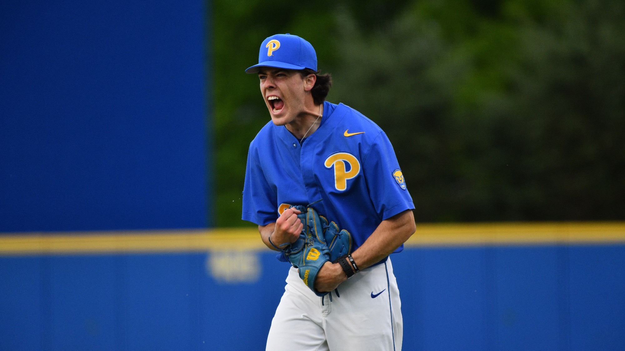 Ryan Andrade - Baseball - Pitt Panthers #H2P