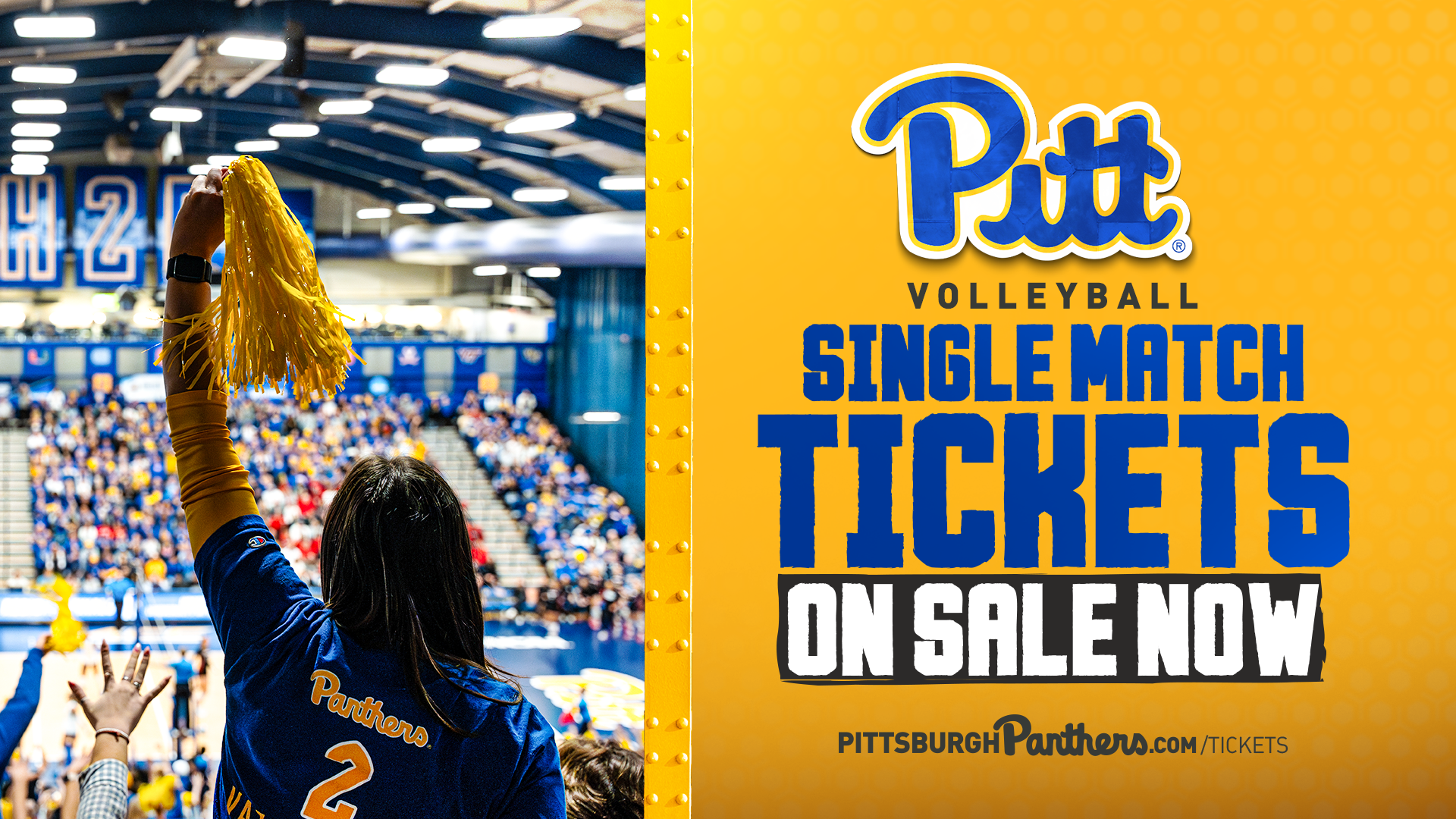 Volleyball Single Game Tickets On Sale Now - Pitt Panthers #H2P
