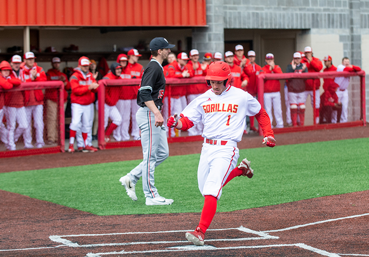 Gorillas Close Out Regular Season Against Tigers - Pittsburg State ...
