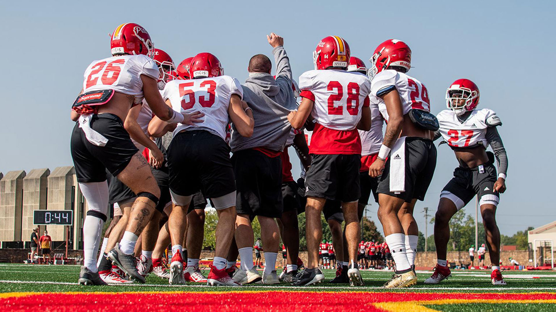 A Sense of Normal: The Path to the Return of Gorilla Football ...