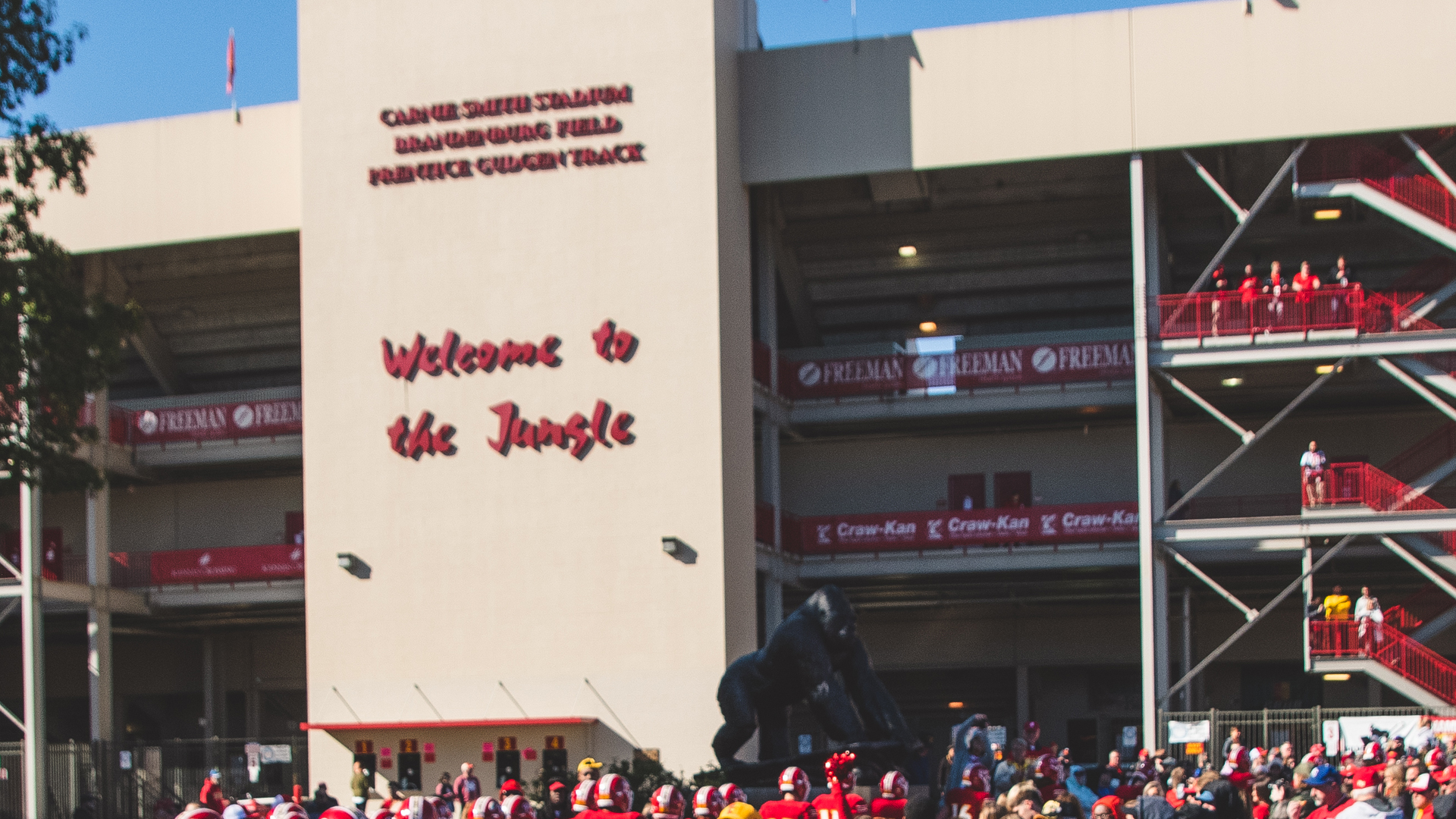 Gorillas Set to Host Spring Game Friday Night at Carnie Smith Stadium ...