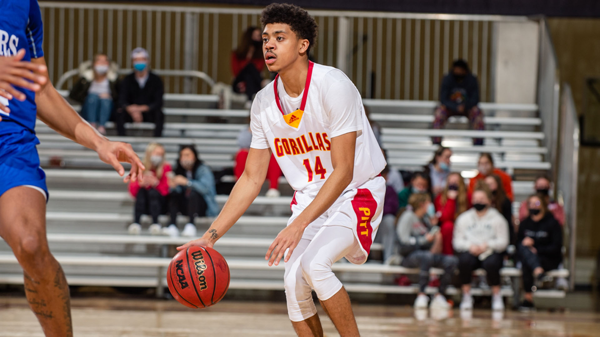 R.J. Lawrence - 2021-22 - Men's Basketball - Pittsburg State University ...