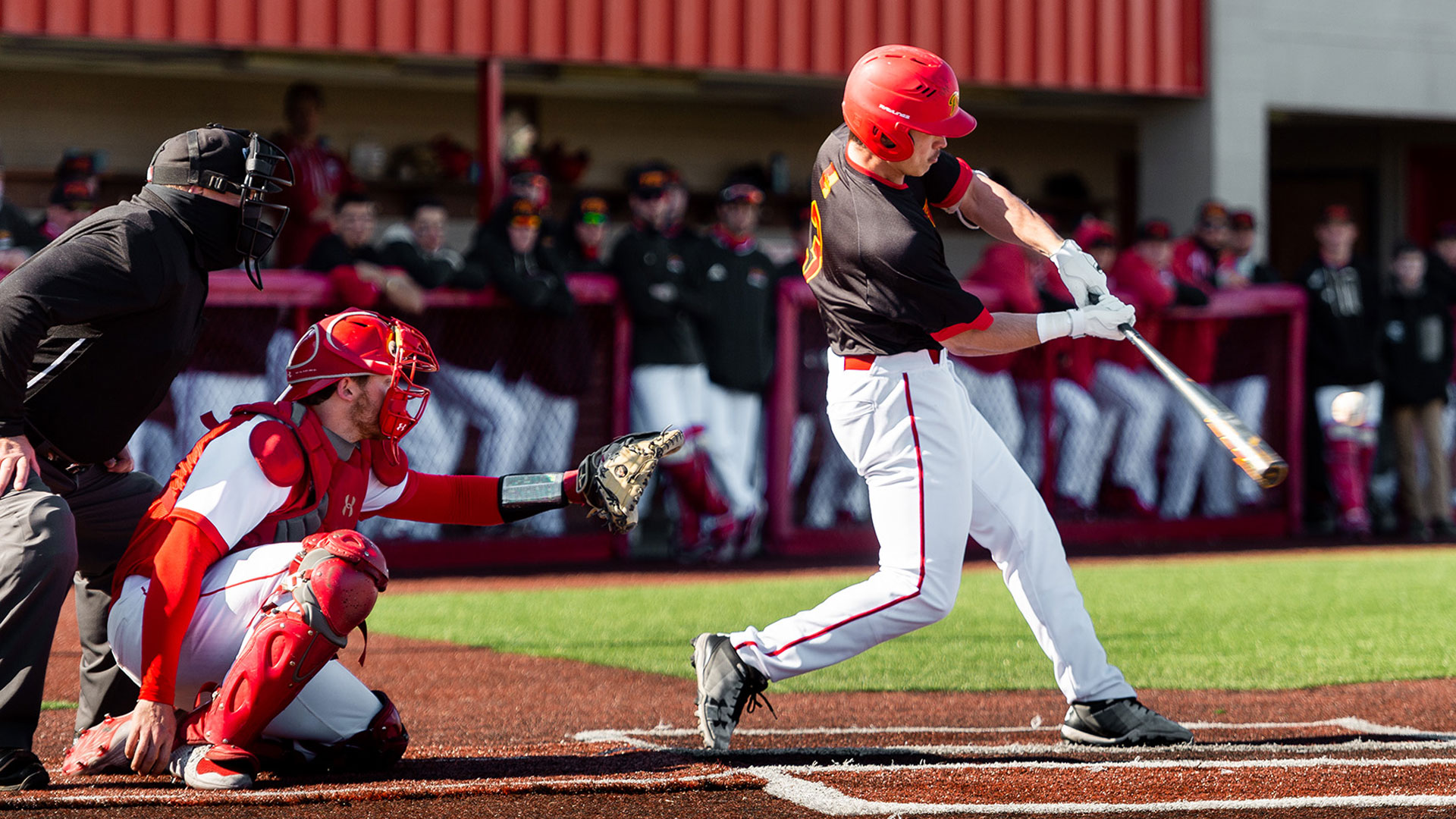 Gorillas to Open MIAA Play at FHSU Saturday - Pittsburg State ...