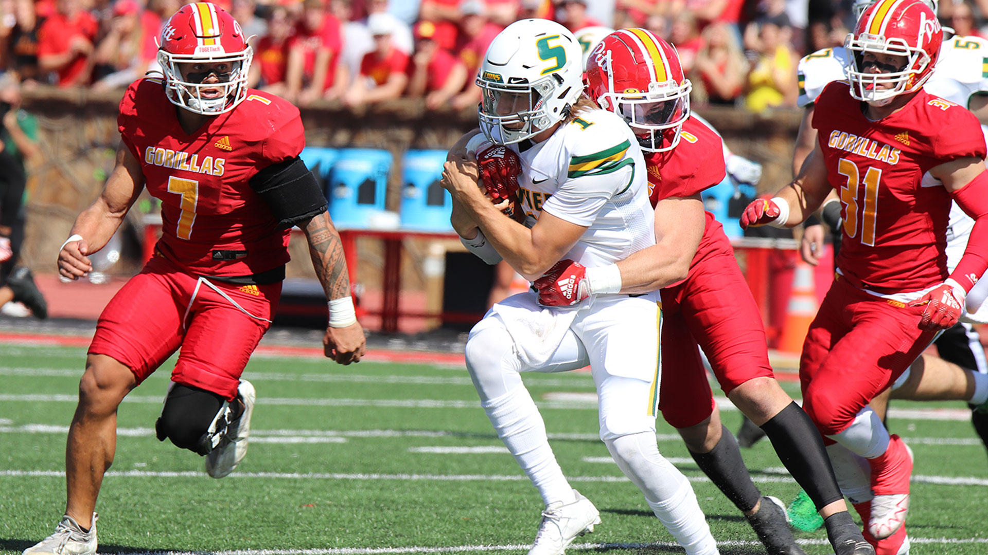 No. 7 Gorillas to Host No. 9 Bearcats in “The Jungle” Saturday ...