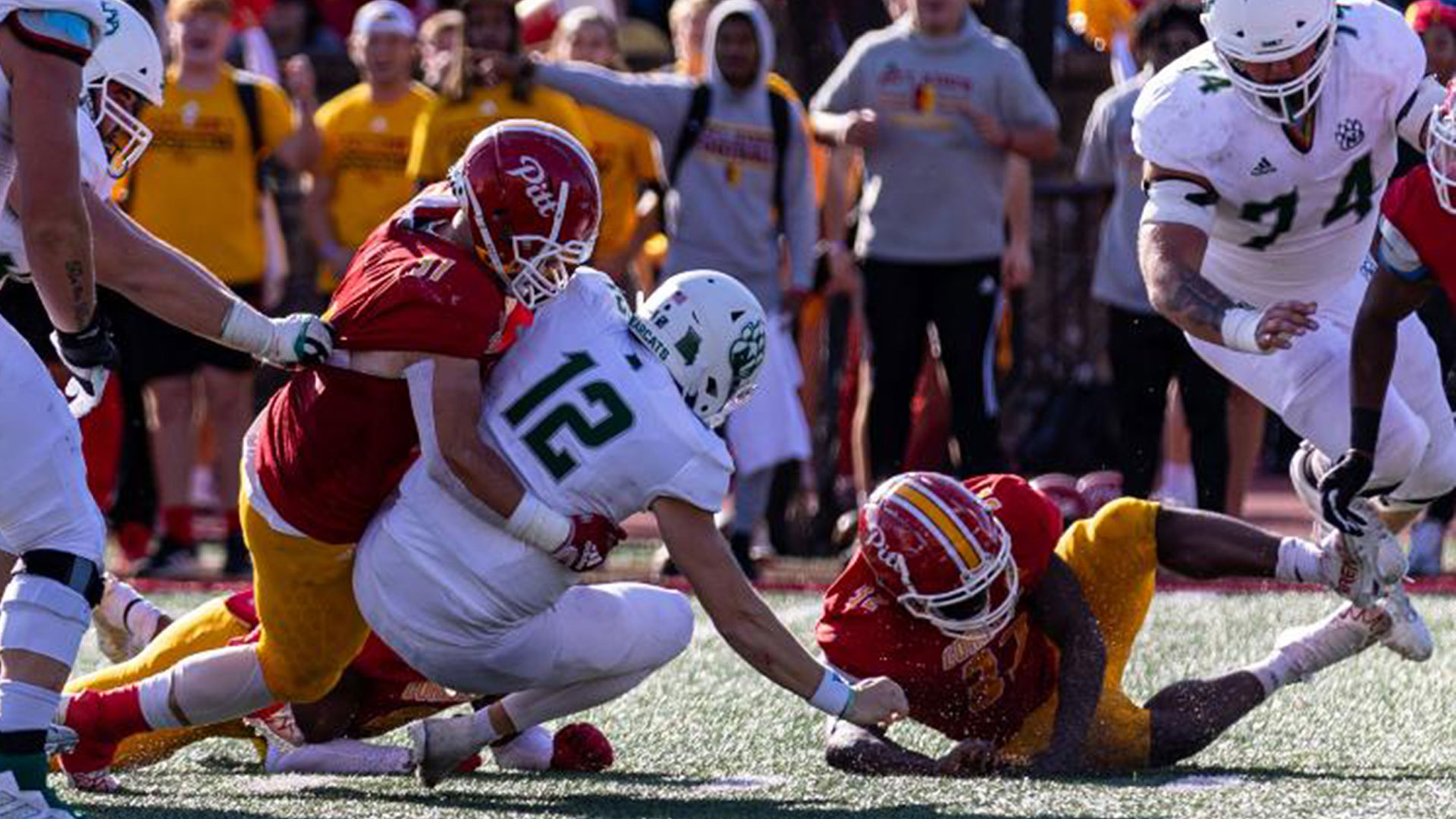 No. 7 Gorillas Stifle No. 9 Bearcats Comeback Bid - Pittsburg State ...