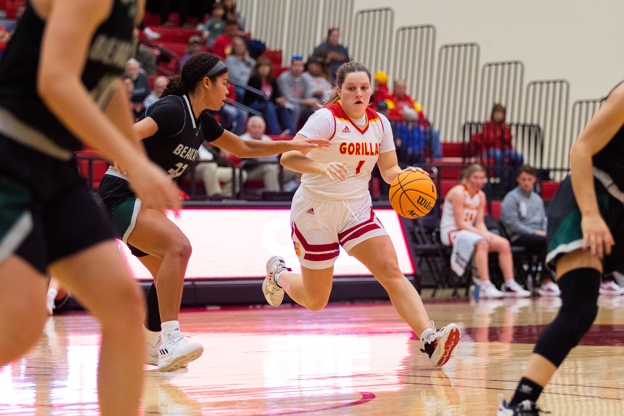Pitt State Women to Hit the Road to Battle Jets, Lady Bronchos ...