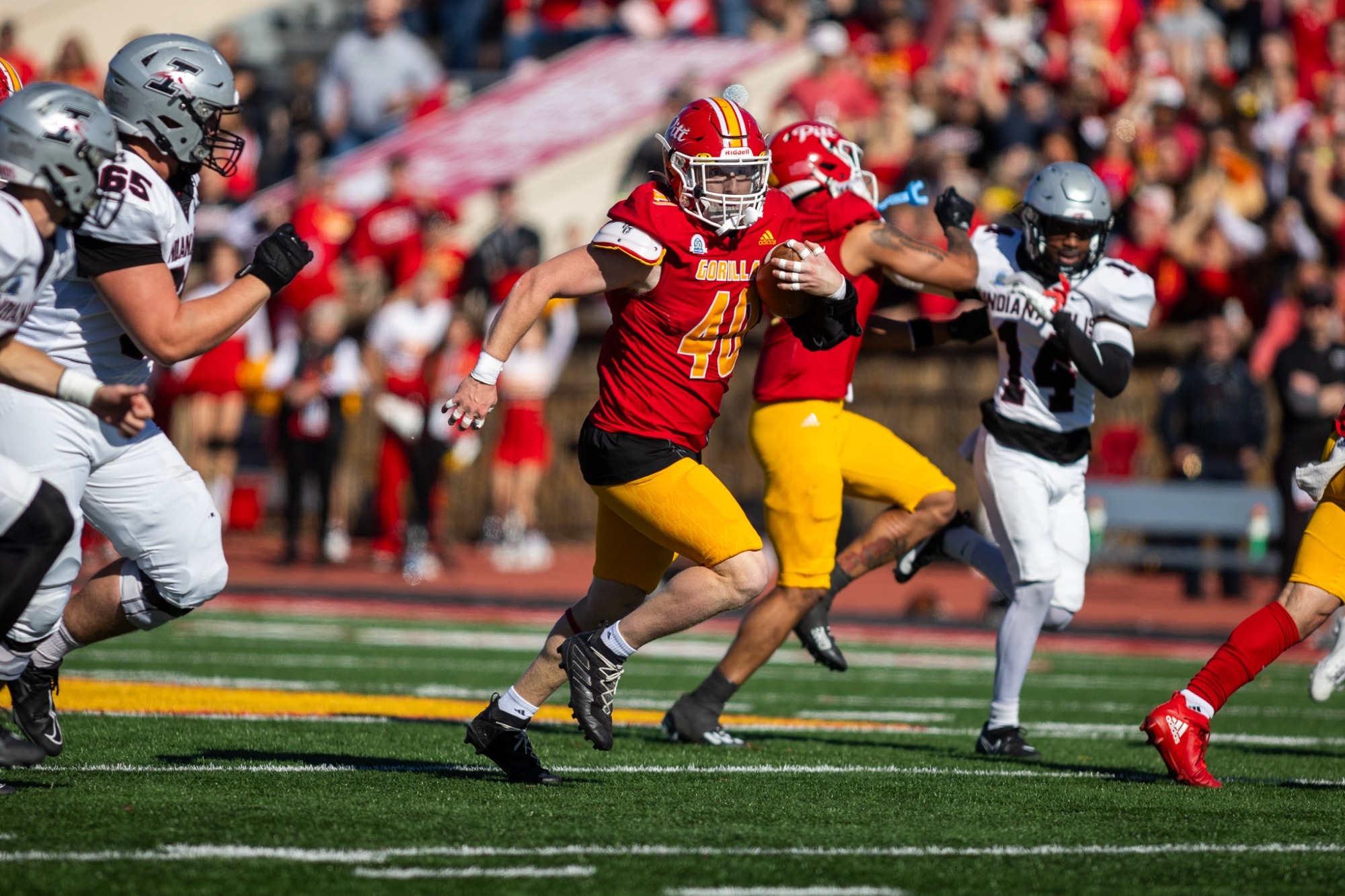 Gorillas Advance Past Greyhounds, 35-14 - Pittsburg State University ...