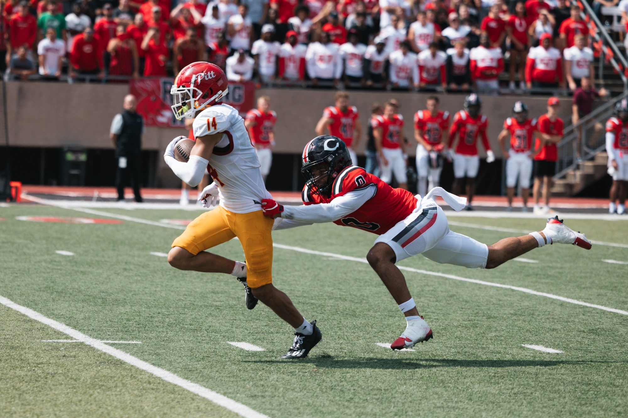 Chad Christopher Marquardt Biography