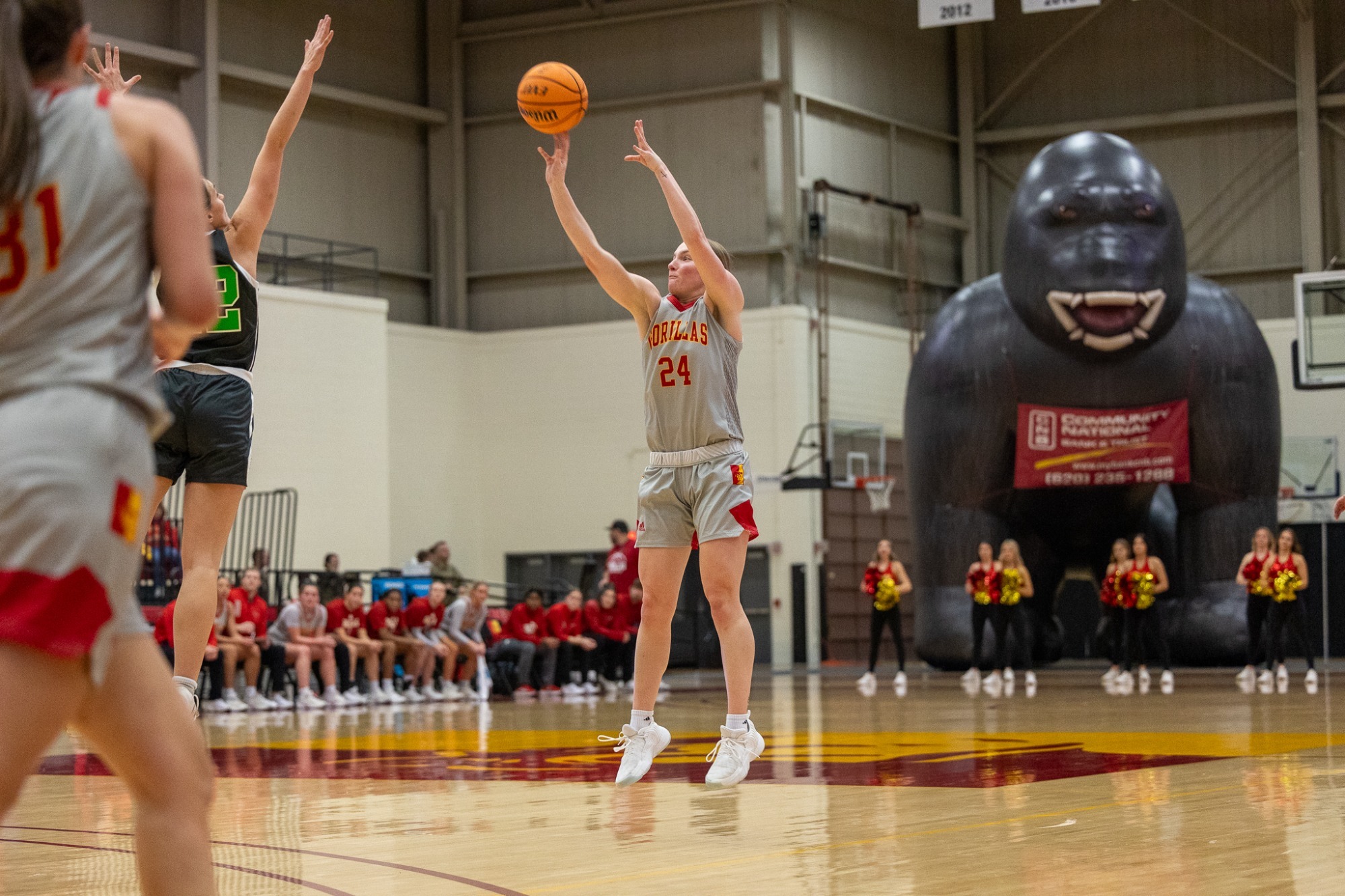 Gorillas Ready For Road Tilts Against Bronchos, Jets - Pittsburg State ...