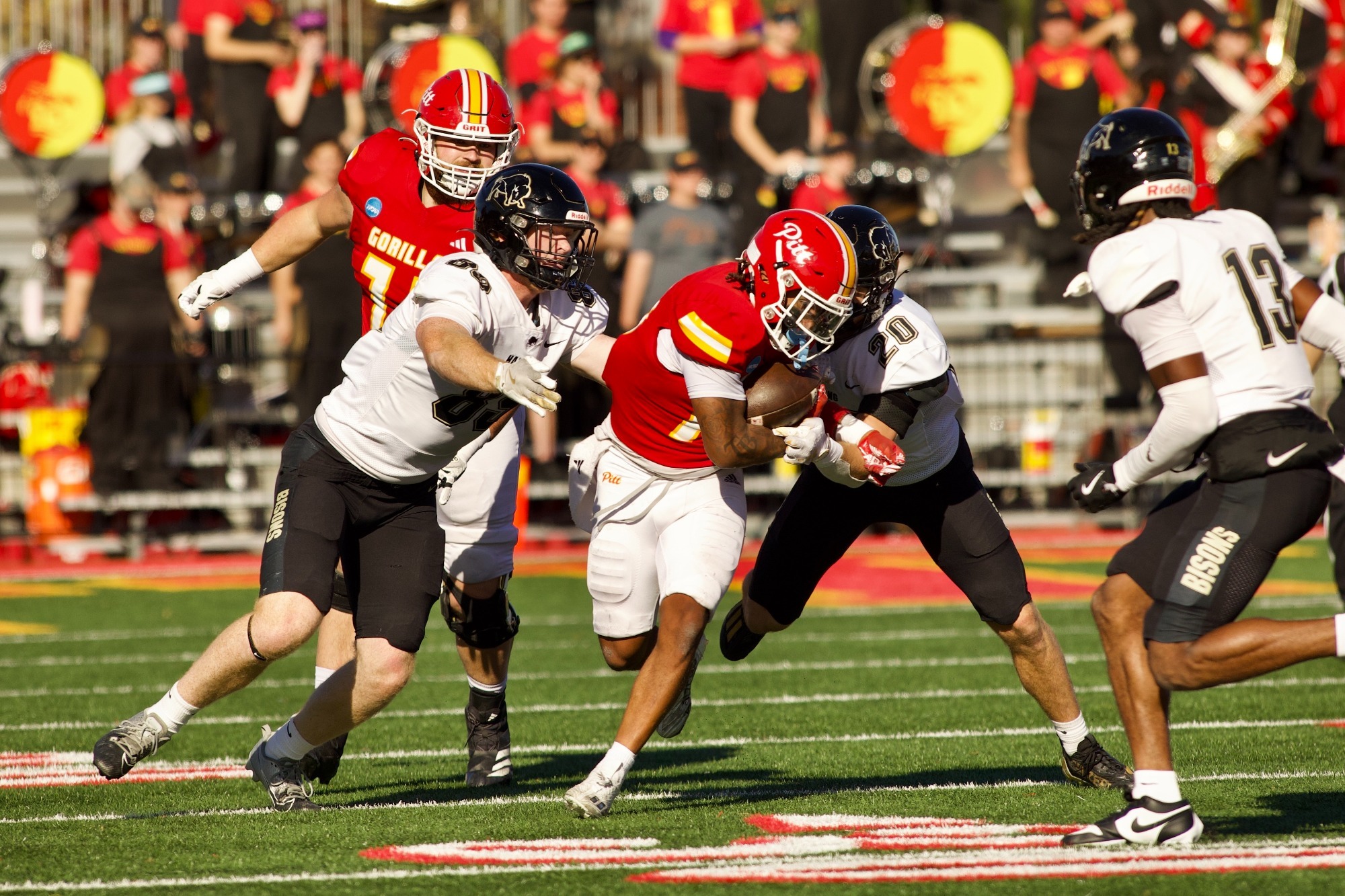 Gorillas Score 23-7 Win Over Bearcats in Regular Season Finale ...