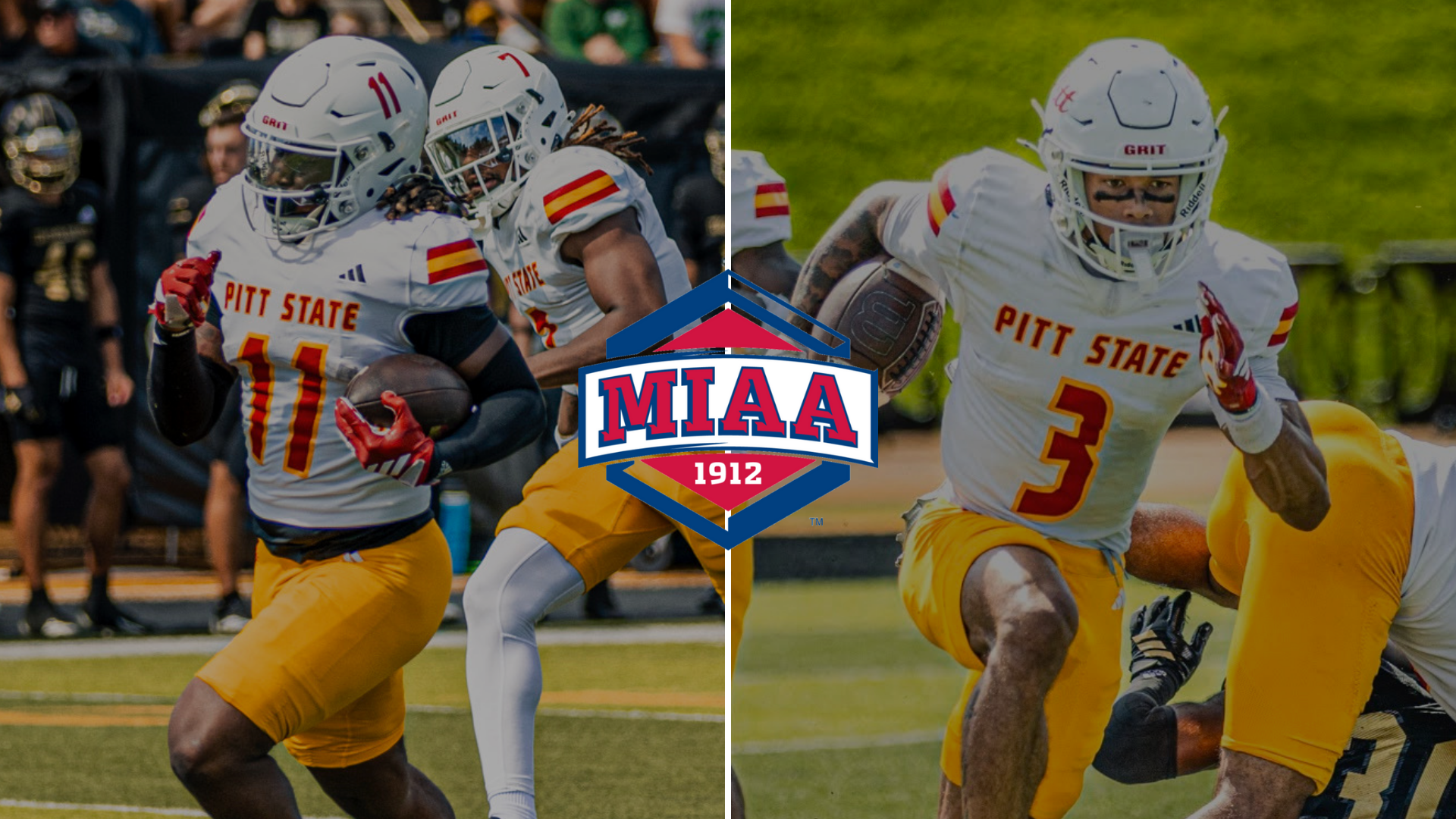 No. 18 Gorillas Set to Host Tigers in Family Day Game Saturday ...