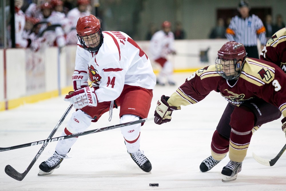 Ryan Farnan - 2013-14 - Men's Ice Hockey - Plattsburgh State Athletics