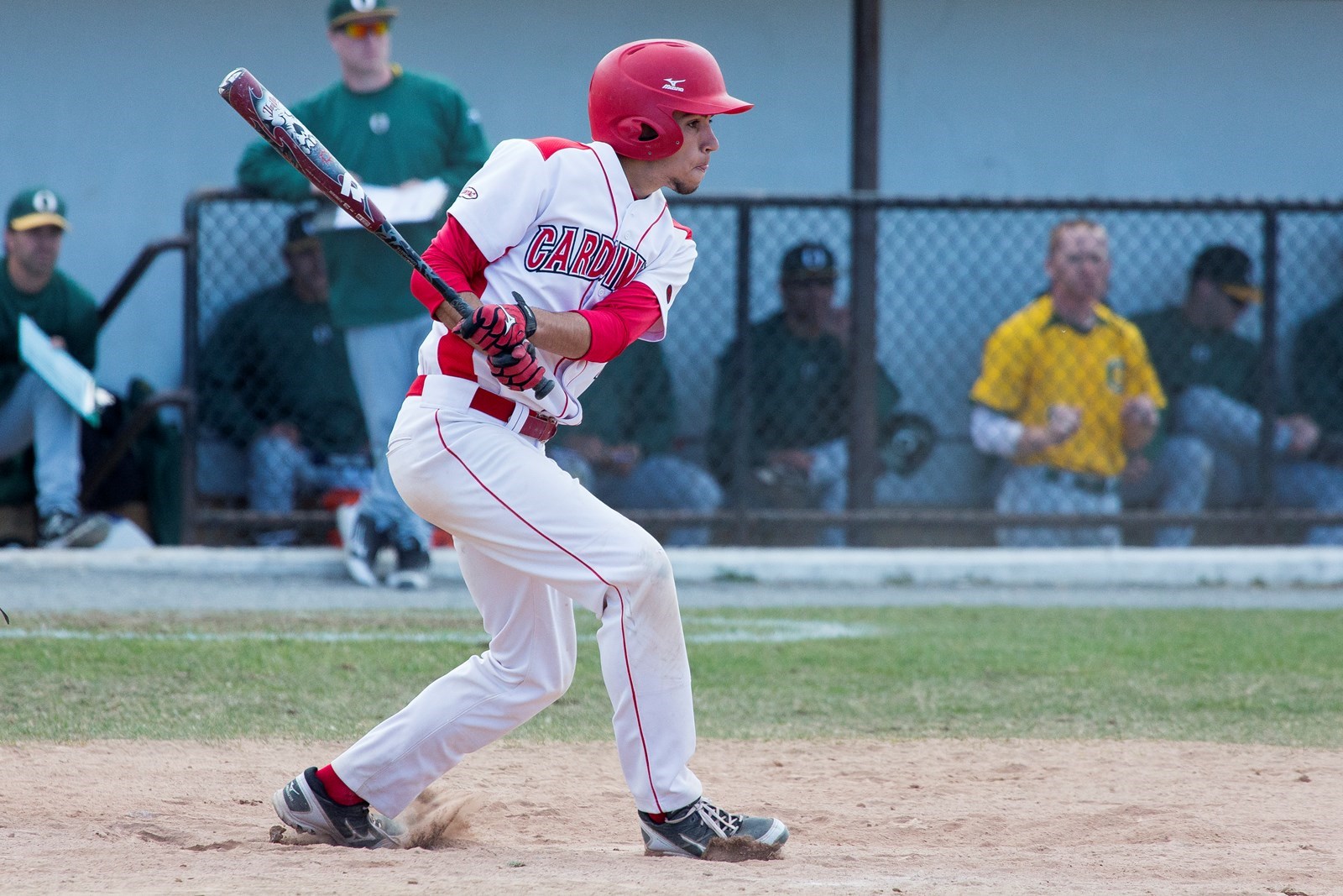 Nick Lupo - 2015 - Baseball - Plattsburgh State Athletics