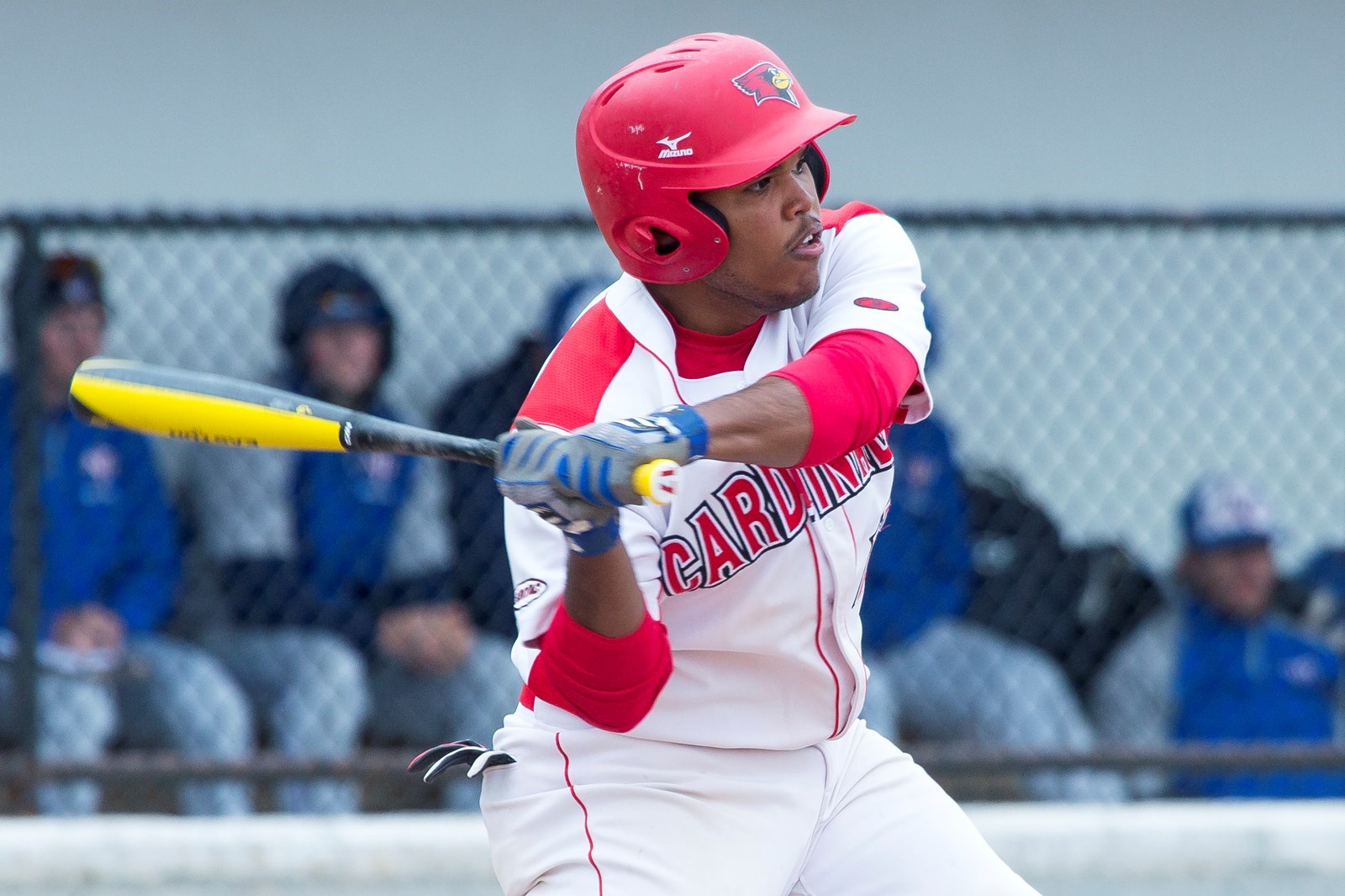 Jeremy Rodriguez - 2014 - Baseball - Plattsburgh State Athletics