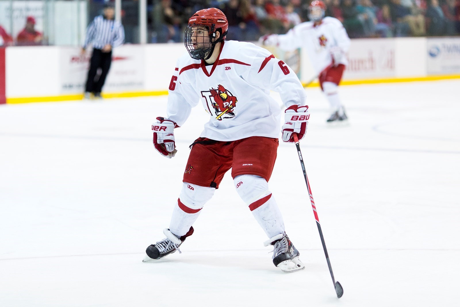 Zach Popp - 2015-16 - Men's Ice Hockey - Plattsburgh State Athletics